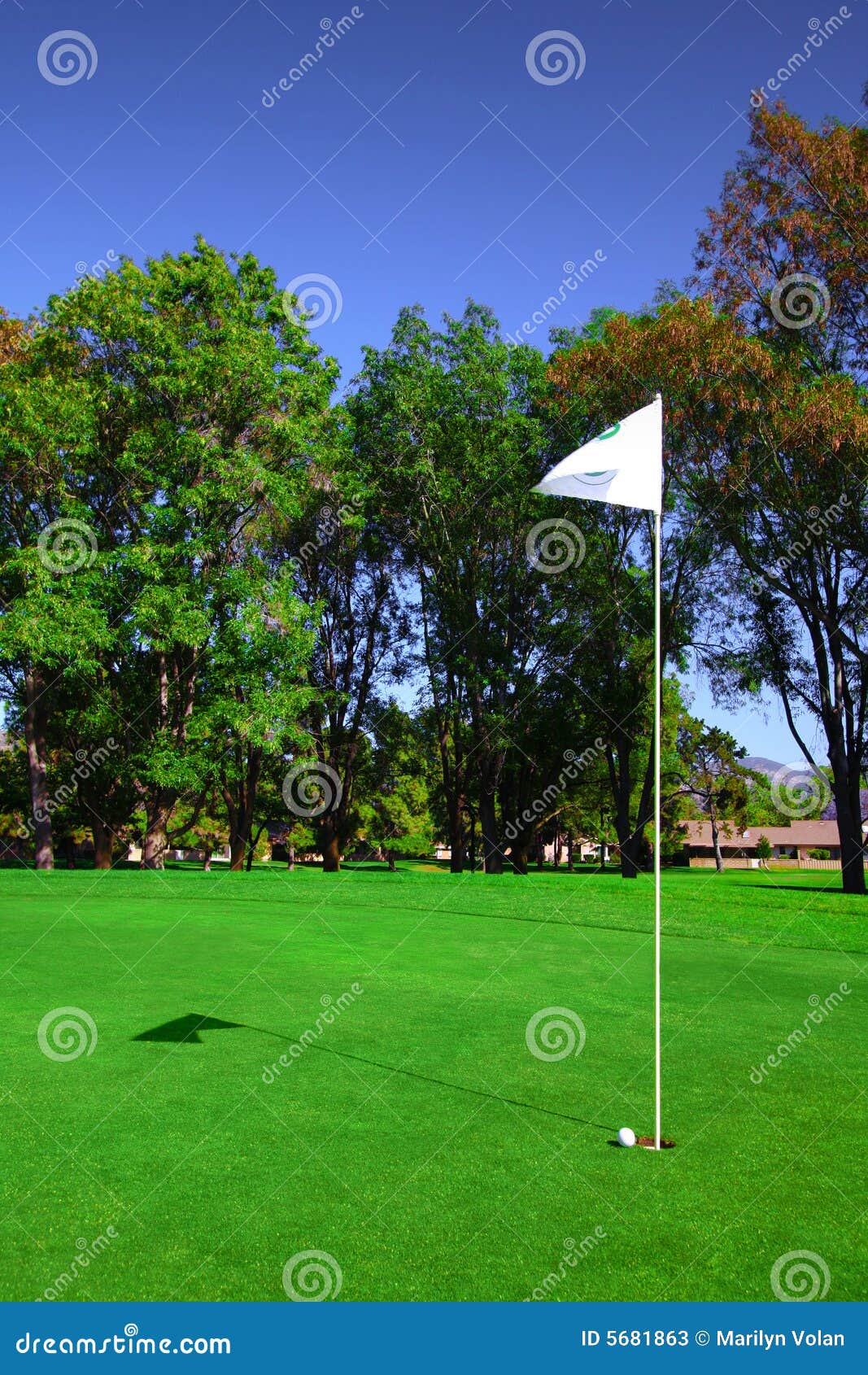Vector Golf Course Flag stock vector. Illustration of close - 5681863