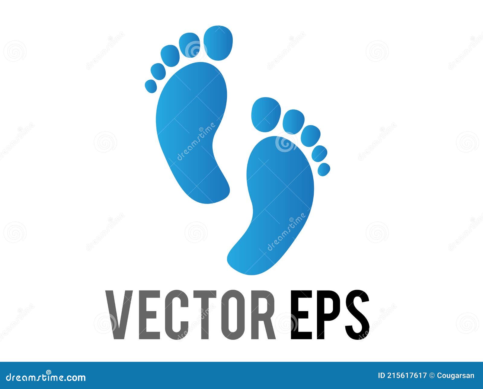 Leg - From Hip To Toes Showing Bones And Joints Royalty-Free Stock ...