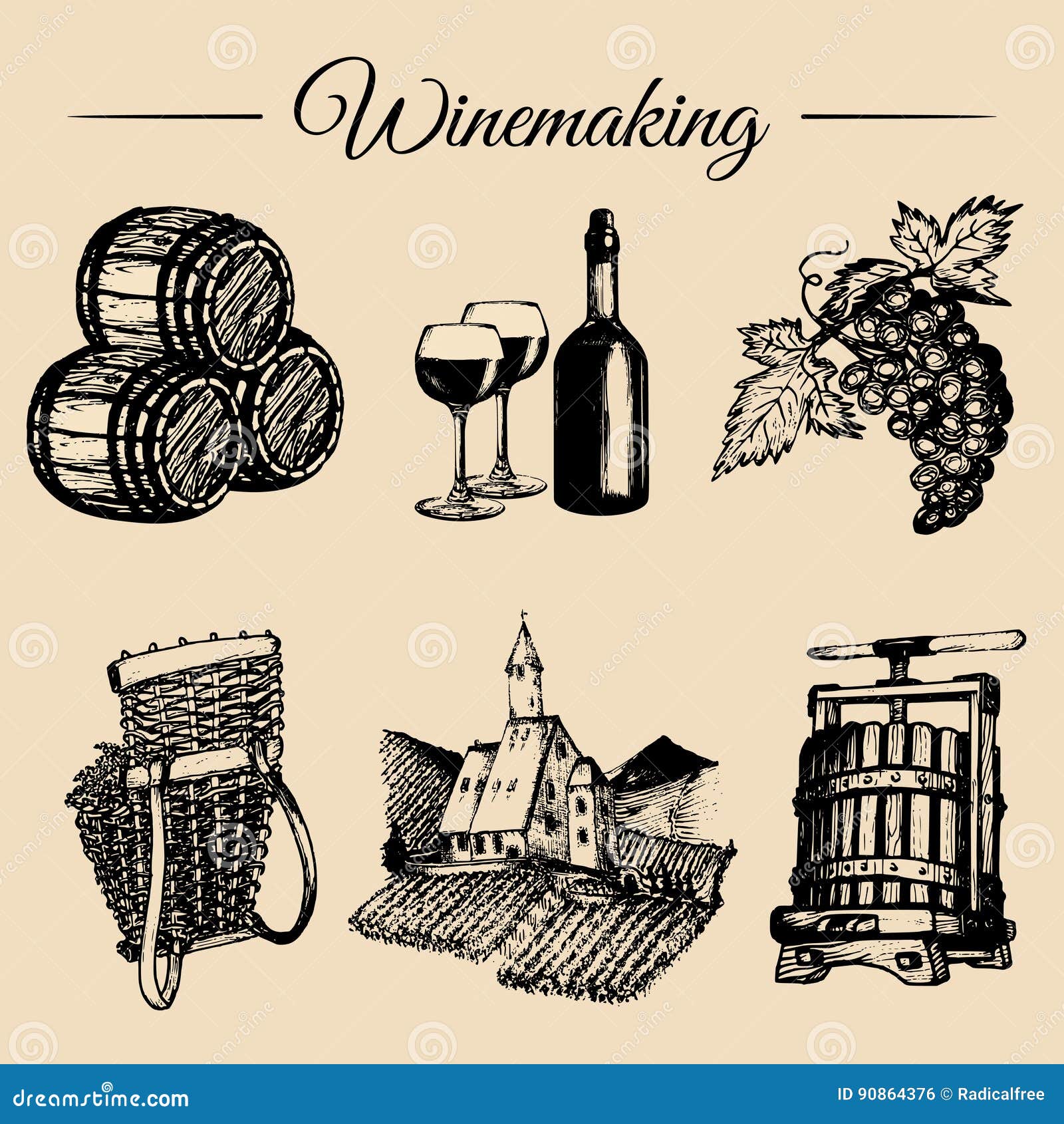 Vector Grape Infographics With Illustrations Of Winery Process ...