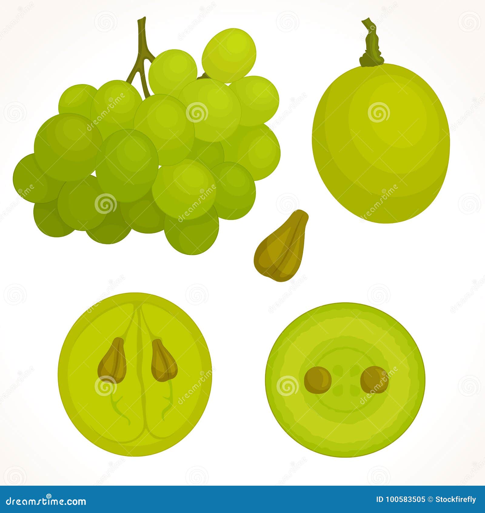 Whole Half Cut Grapes Seed White Background Stock Illustrations – 12 ...