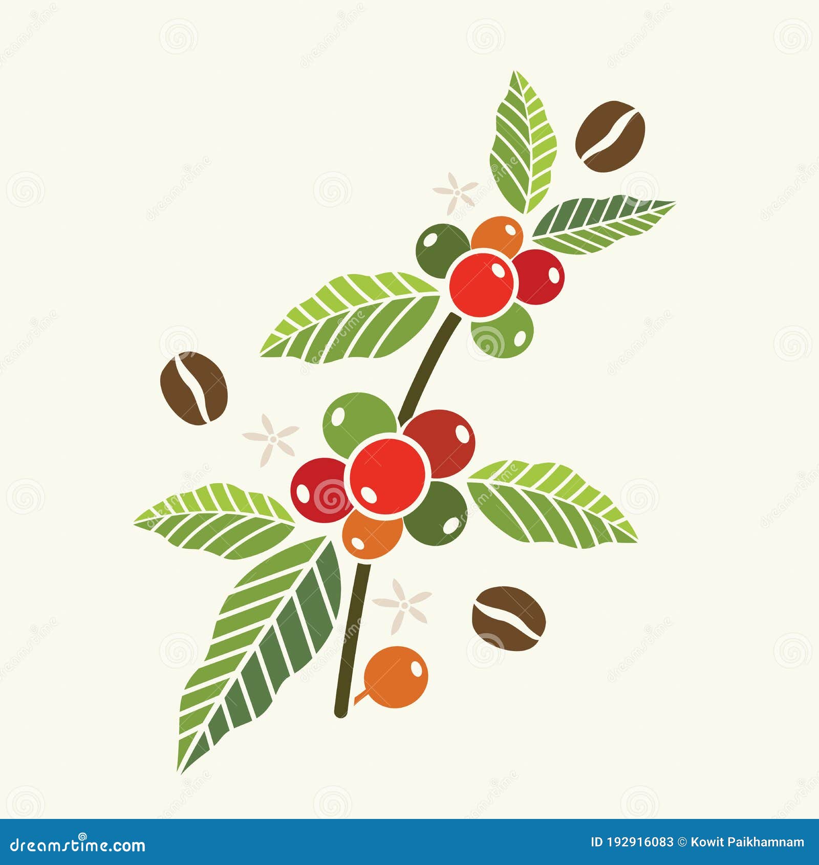 Vector Graphic Coffee Tree Plantation, Branch, Leaf, Bean. Stock Vector ...