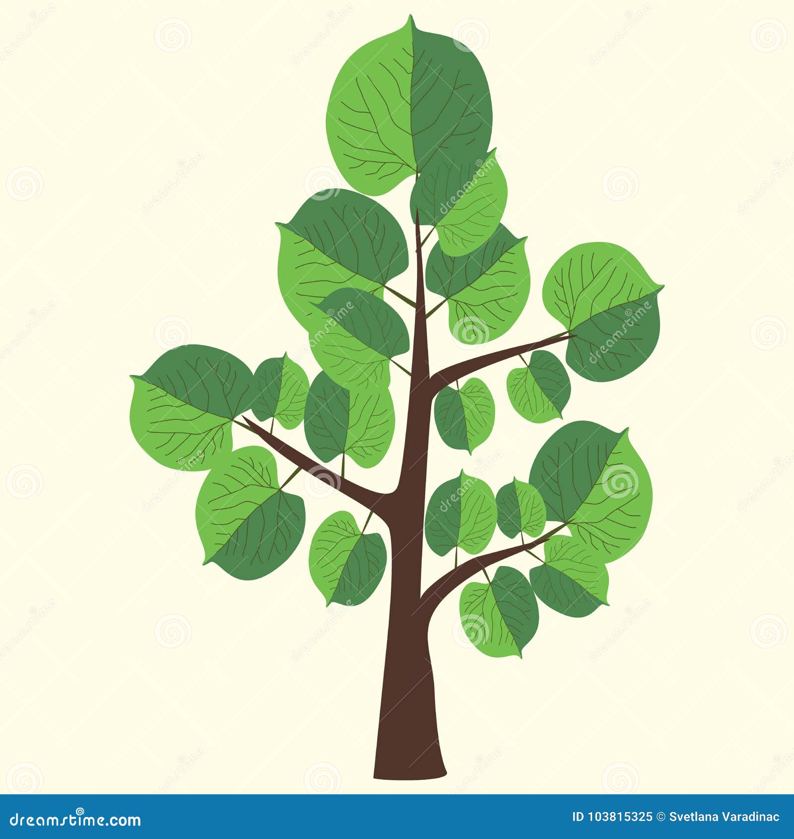 Vector Illustration of Lime Tree with Two Color Leaves on Light Yellow ...