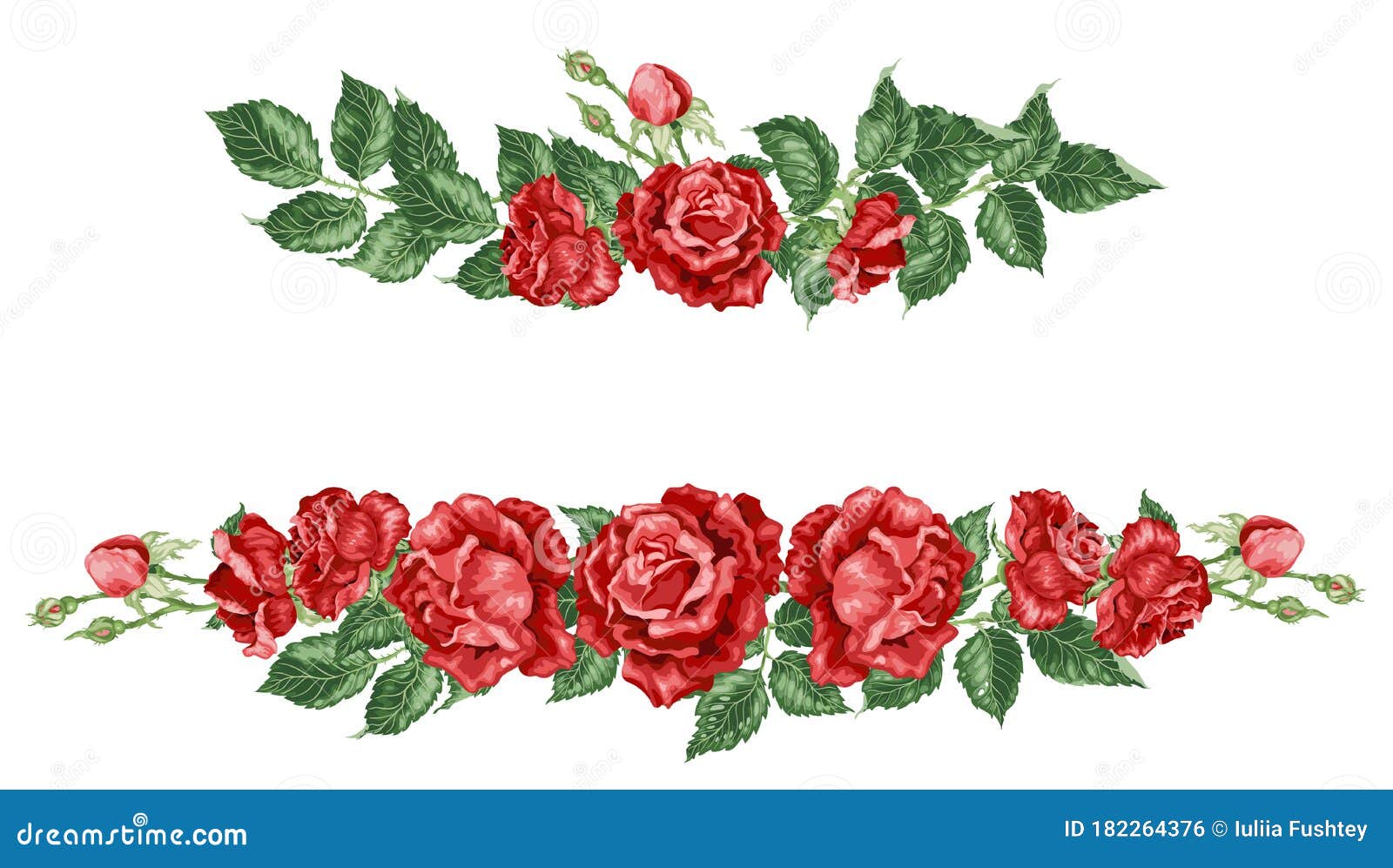 Vector Graphic Illustration with Rose Flowers in Headline Frame Stock ...