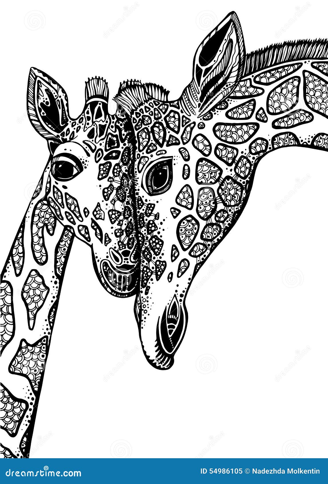Two Giraffes Kissing Drawing