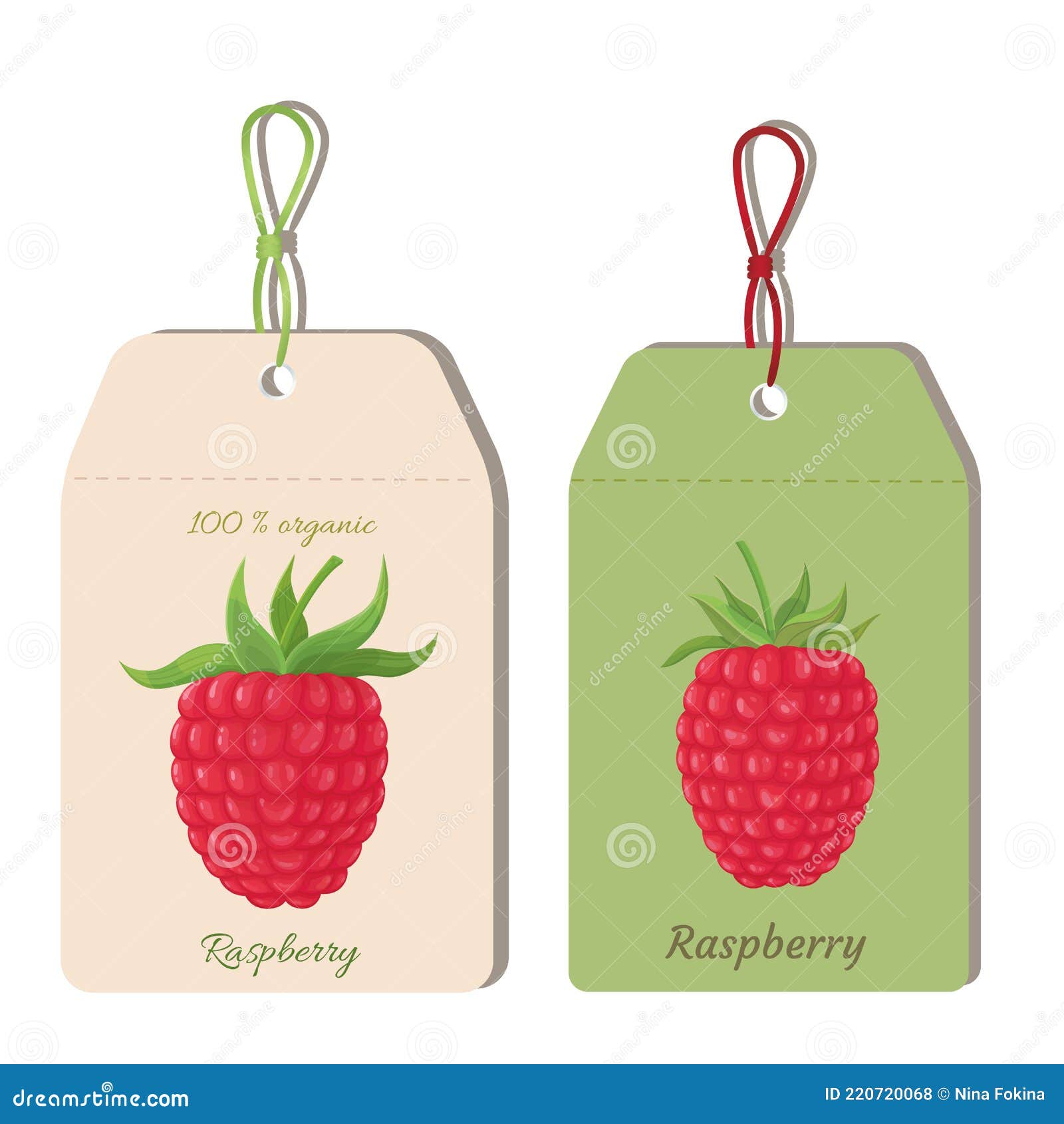 Vector Graphic Label Template with Raspberry Plant Stock Vector ...