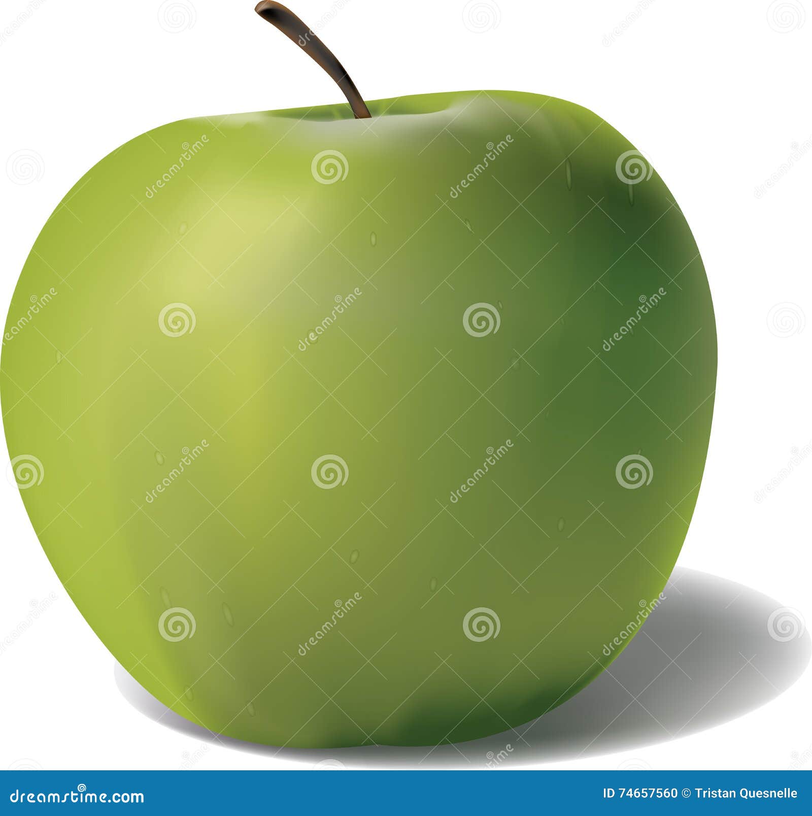 Vector Green Apple stock vector. Illustration of sour - 74657560
