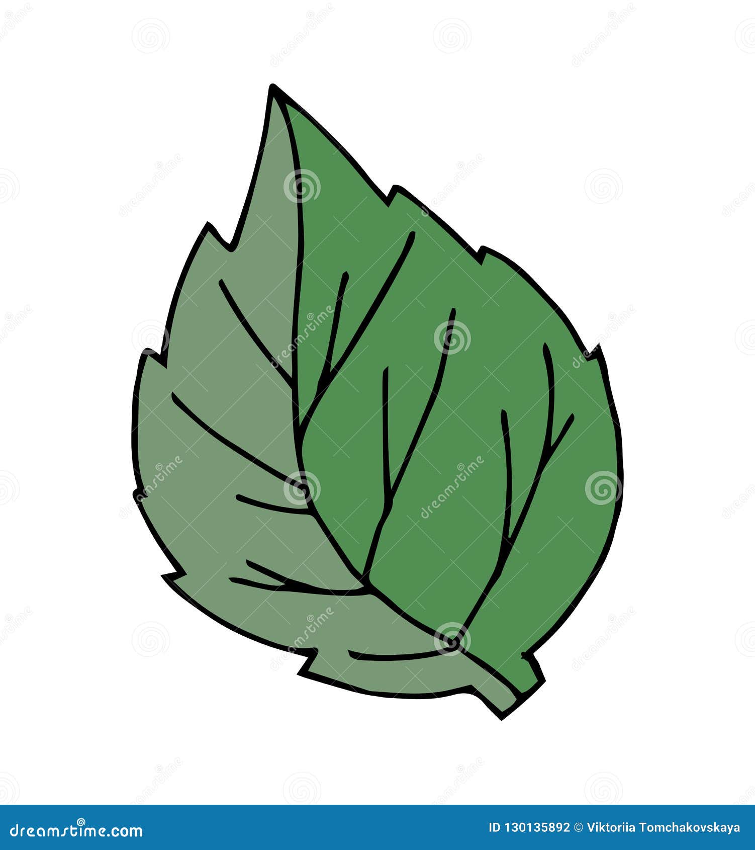 Vector Green Autumn Leaf. Simple Illustration for Kids Stock ...