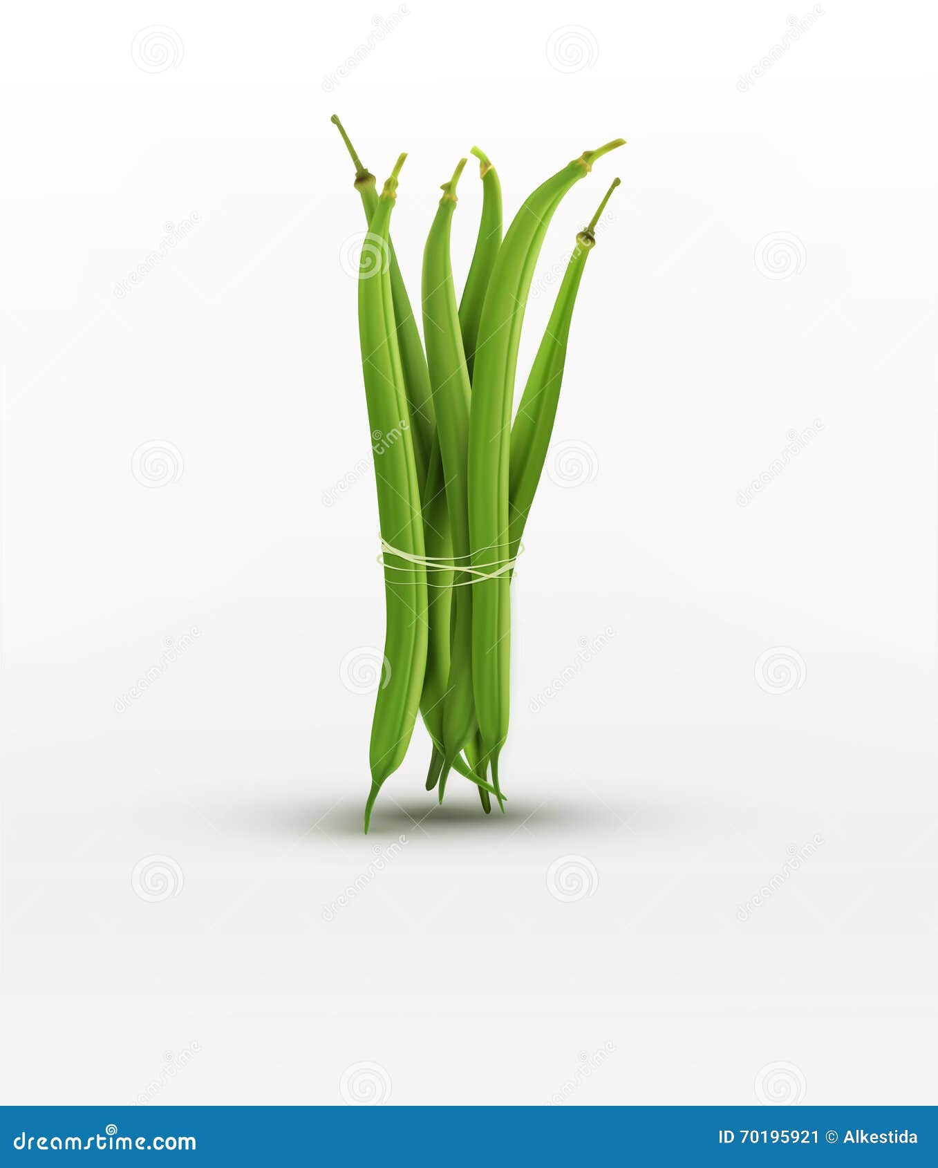 Green Beans Sketch. Detailed Hand Drawn Black And White Vector ...