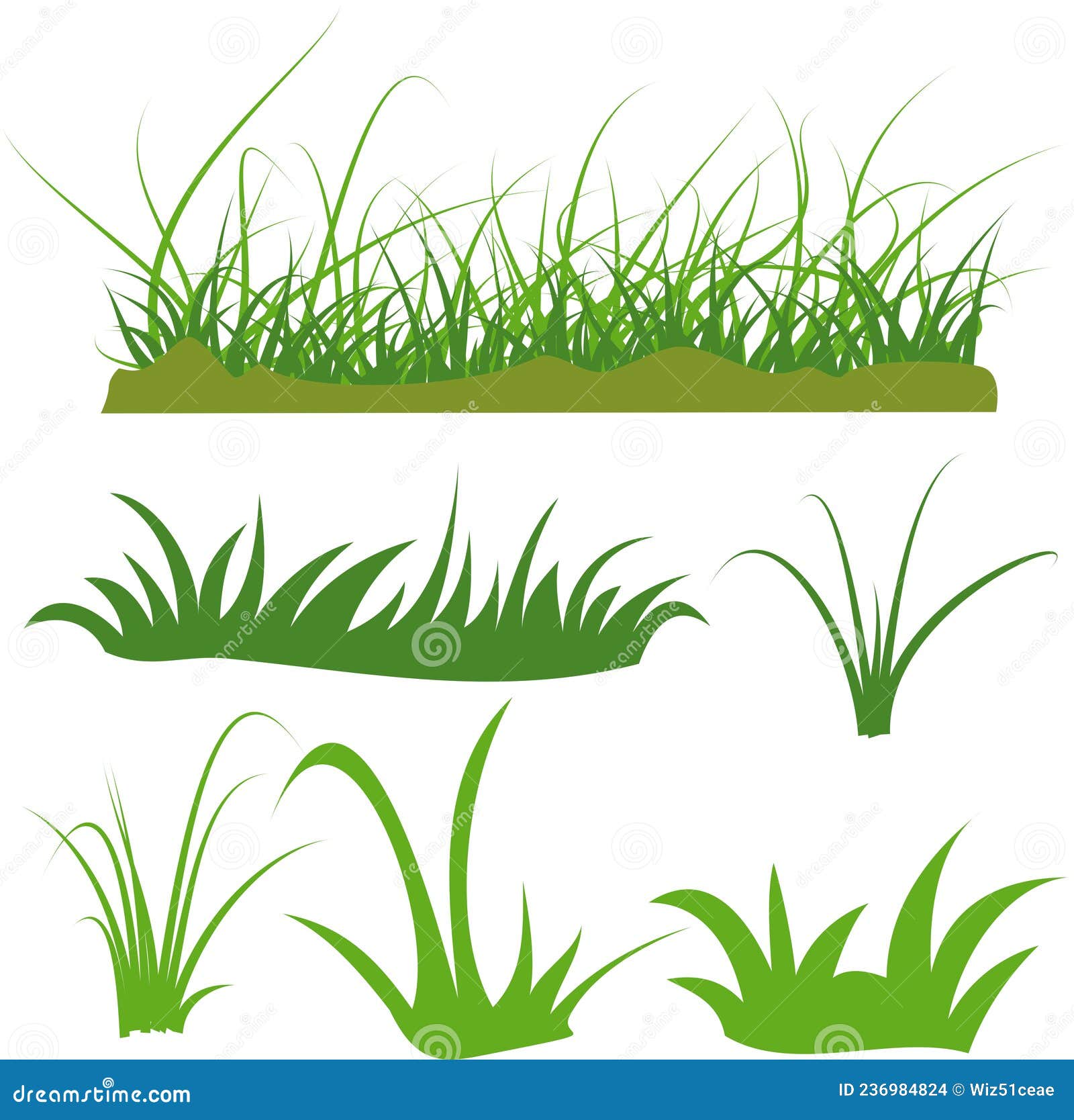 Grass. Green Grass Leaves on White Background Stock Vector ...