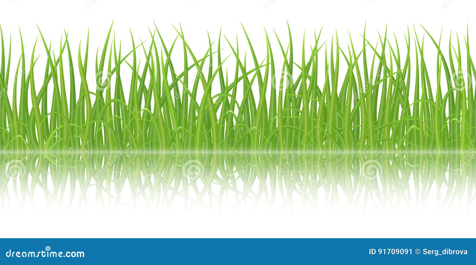 Vector green grass stock vector. Illustration of rural - 91709091