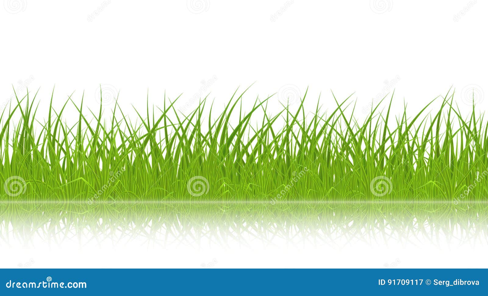 Blade Of Grass Vector