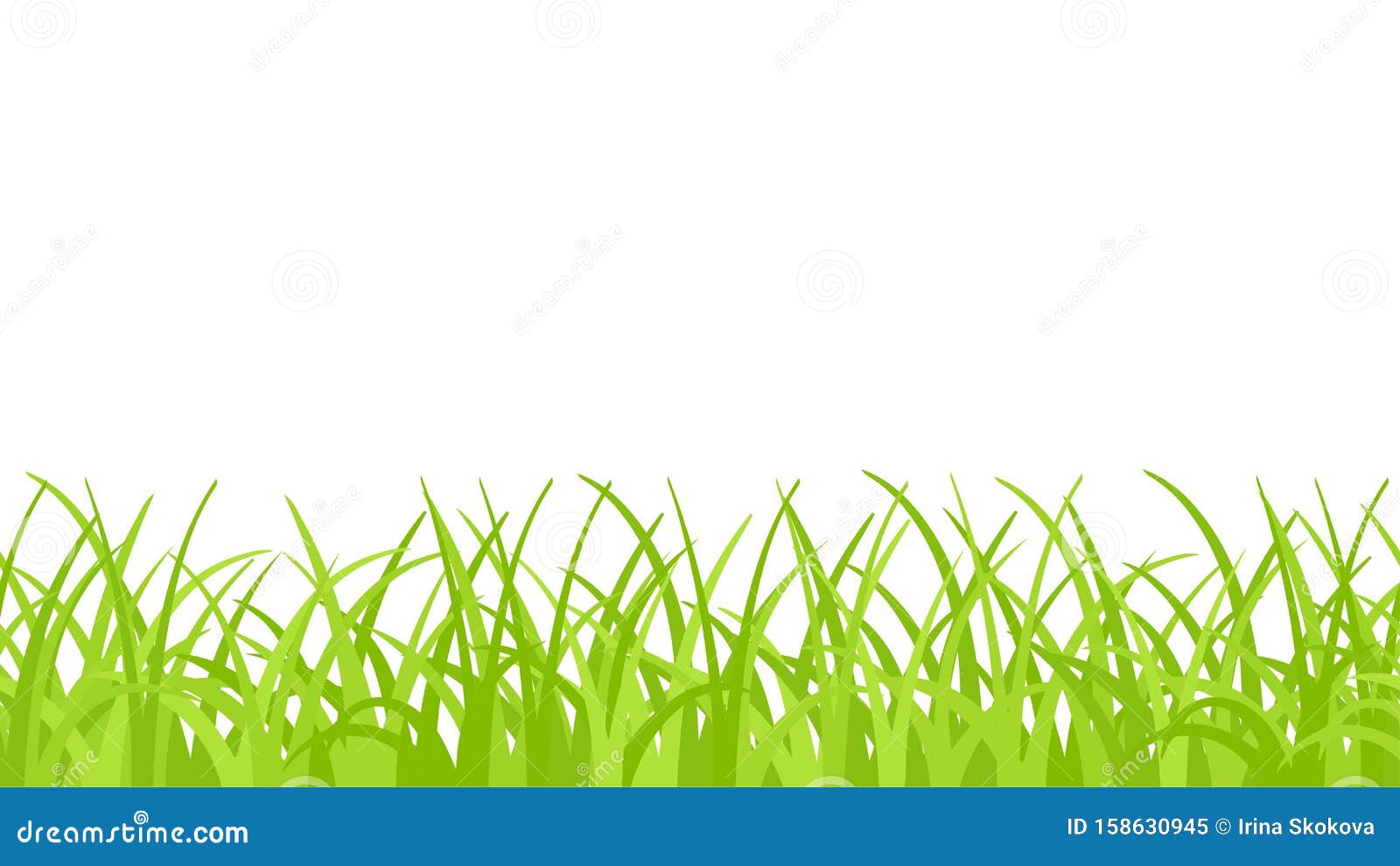Vector Green Grass Seamless Border on a White Background Stock Vector ...