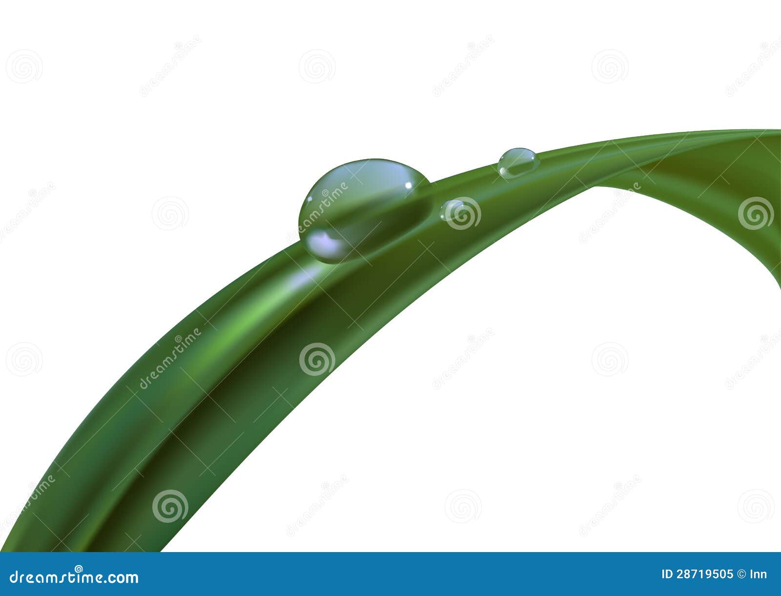 Vector green leaf with dew stock vector. Illustration of leaf - 28719505