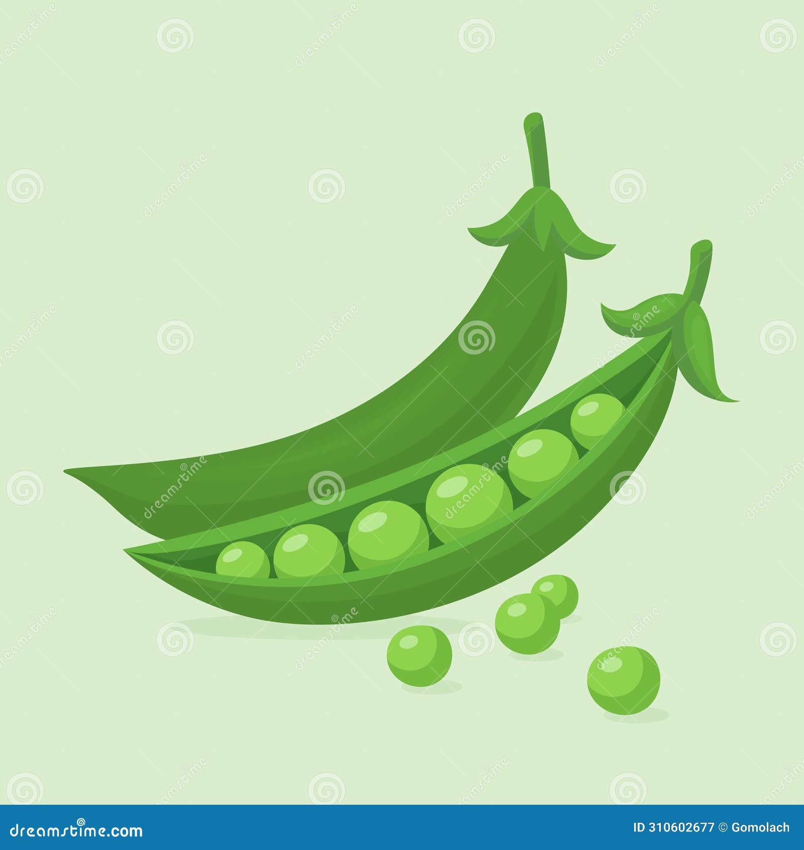 Vector Green Pea Pod. Green Peas Design Template, Cartoon Flat Peas Stock Vector - Illustration ...
