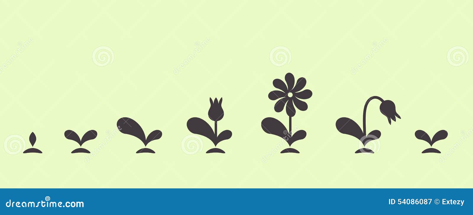 Vector Green Plant Growing Seed Foliage Flower Set Stock Vector ...