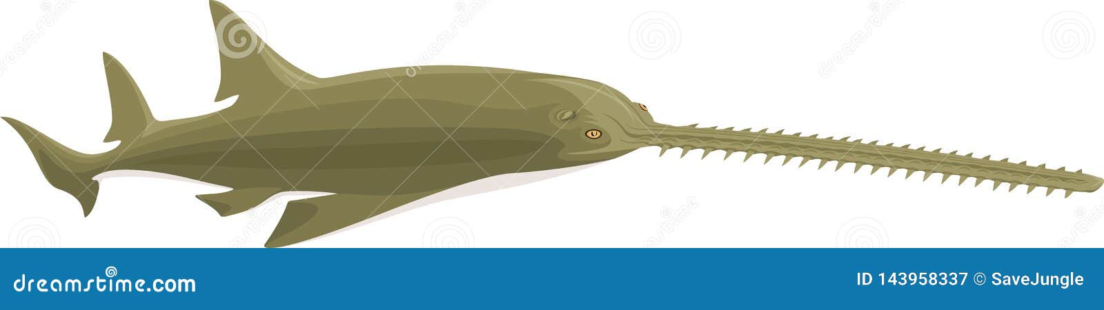 Sawfish Cartoons, Illustrations & Vector Stock Images - 189 Pictures to ...