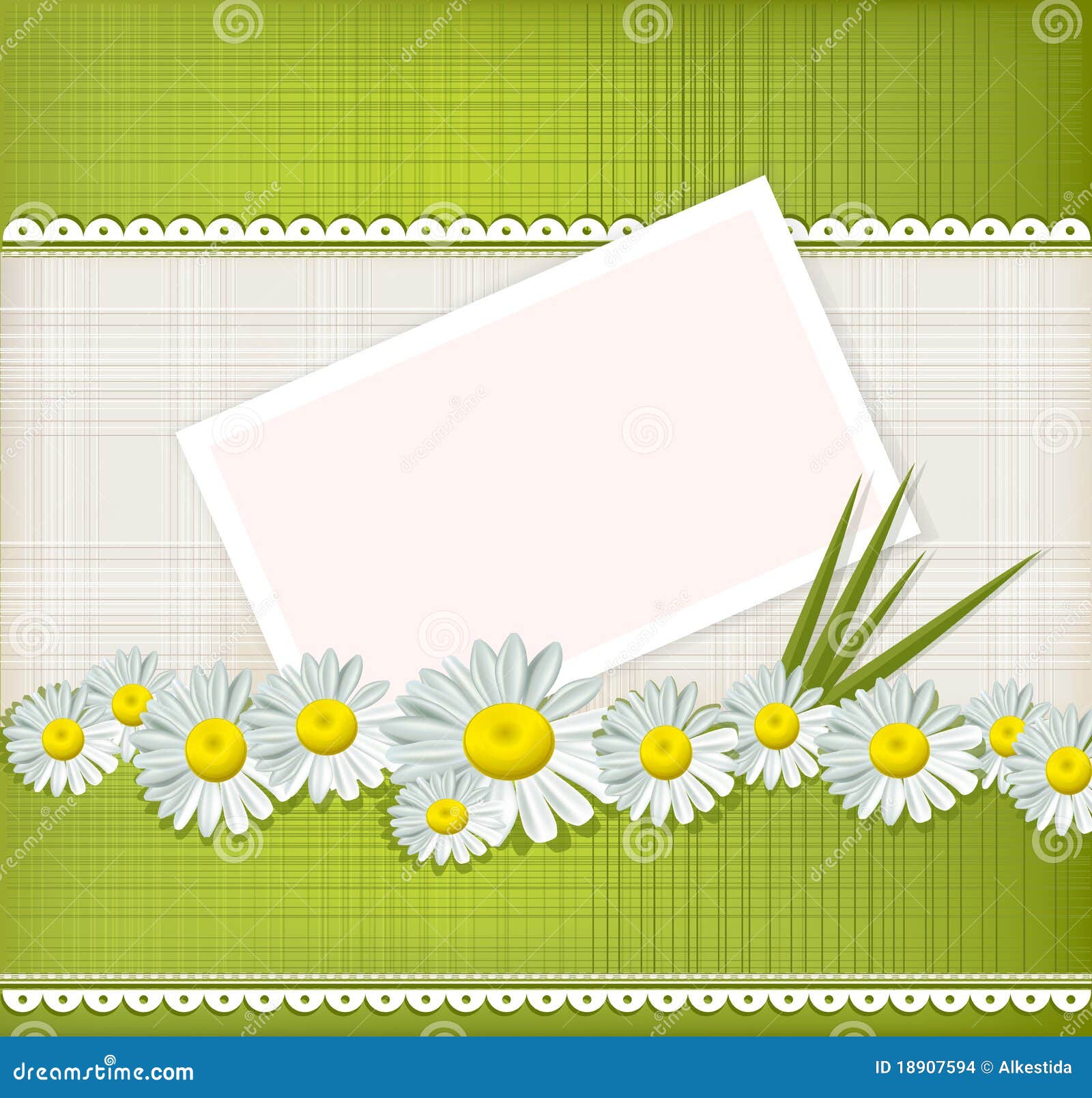 Vector Greeting Card with Daisies Stock Vector - Illustration of ...