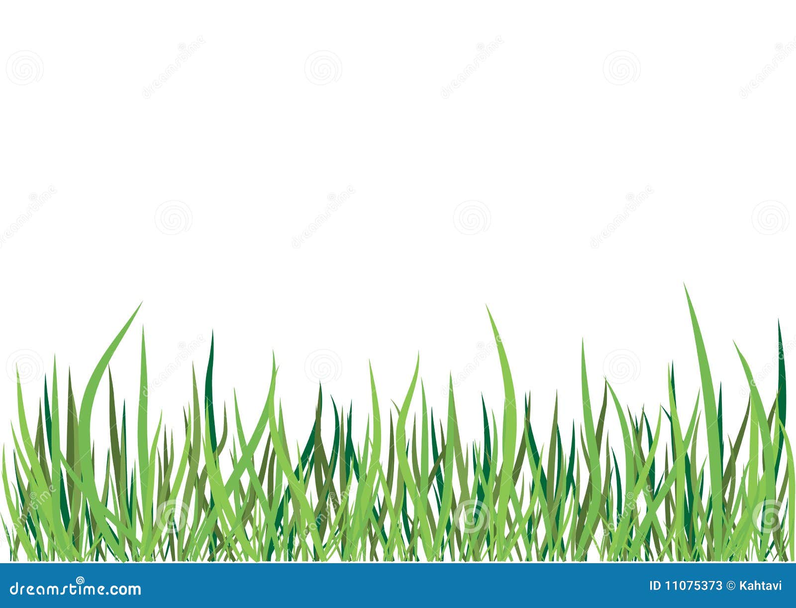 Vector groen gras vector illustratie. Illustration of zegge - 11075373