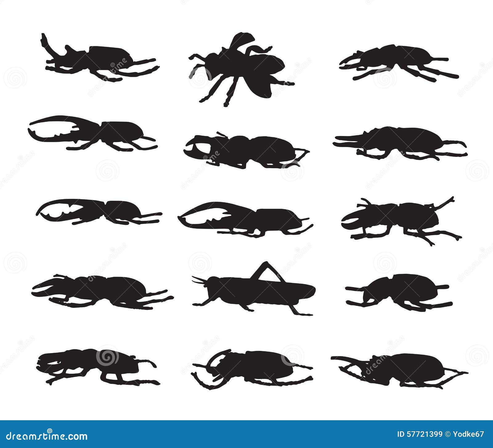 Vector group of insects stock vector. Illustration of isolated - 57721399