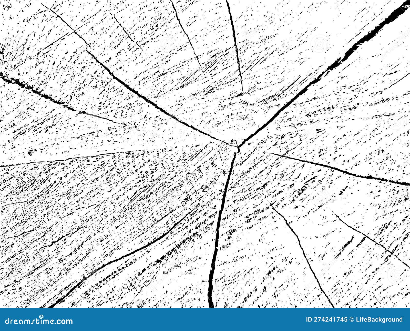 Vector Grunge Texture of an Ash Tree Cross-section on a Monochrome ...