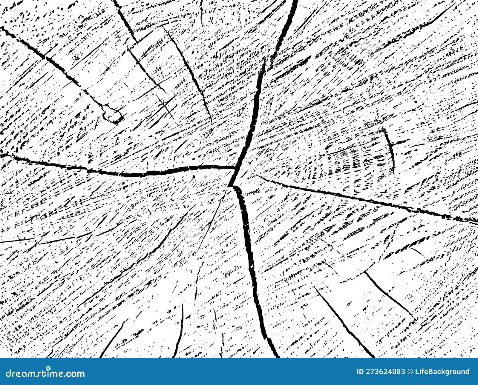 Vector Grunge Texture of a Cut Tree with Cracks Stock Vector ...