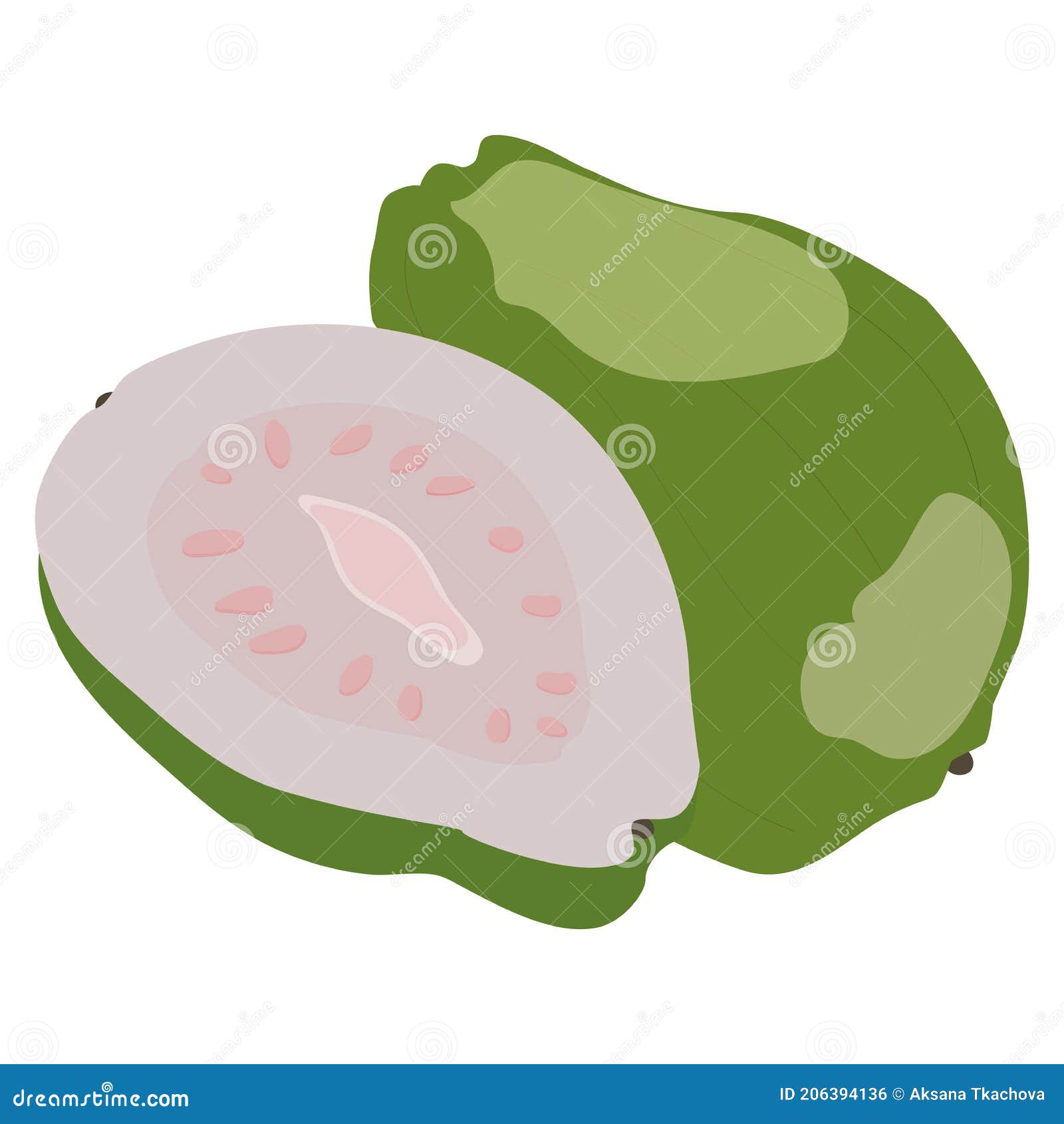 Vector Guava Fruit Isolated On Color Background,illustrator 10 Eps ...