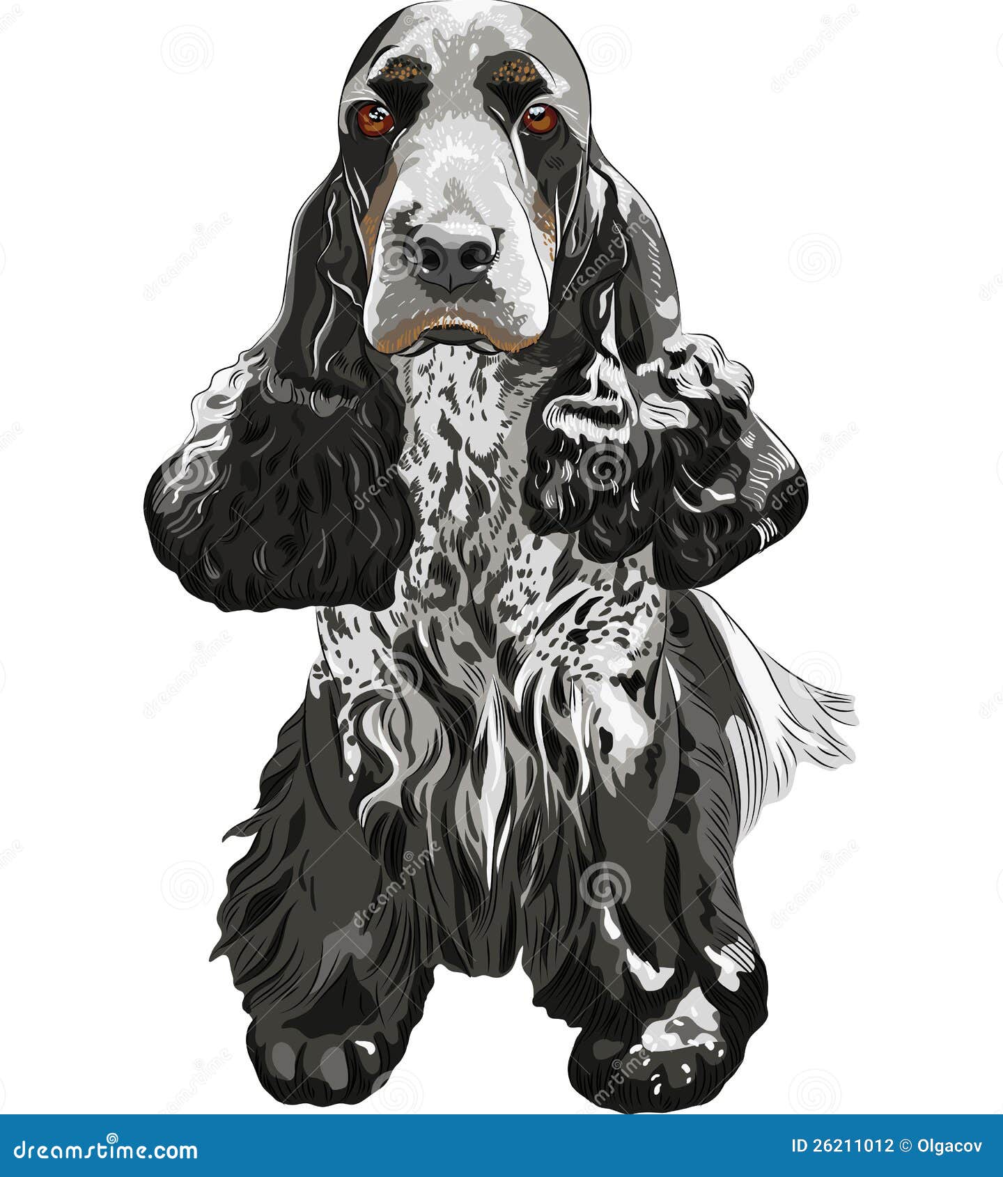English Cocker Spaniels Portraits. Dog Breed. Two Dogs. Vector ...