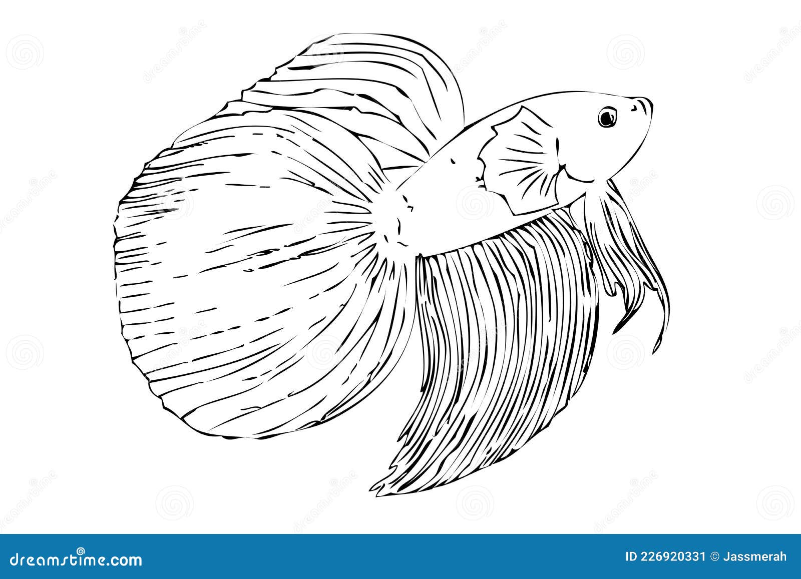 Vector Hand Draw Outline, Betta, Siamese Fighting Fish or Cupang ...