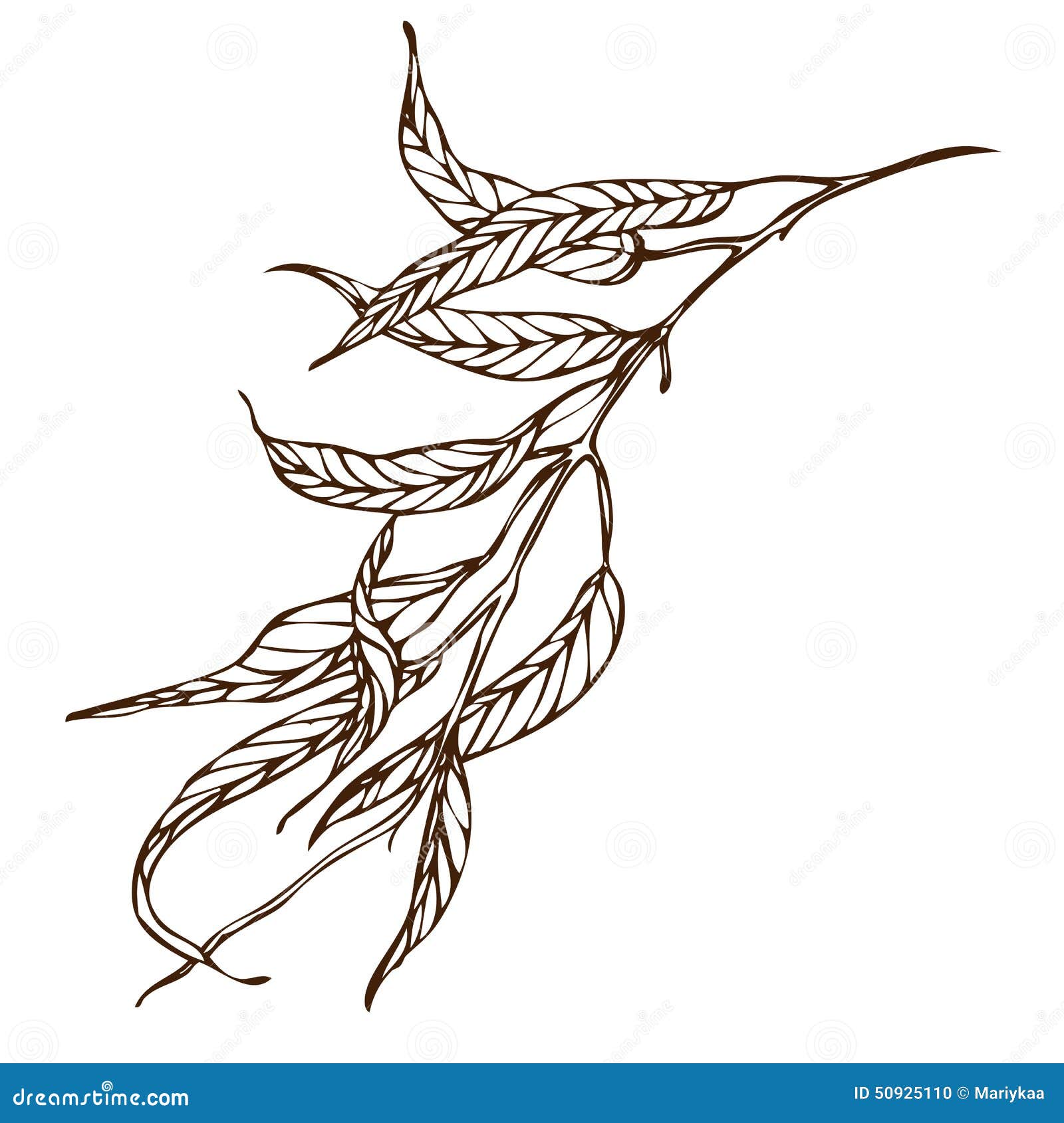 Vector Hand Drawing Eucalyptus Branch Stock Vector - Illustration of ...