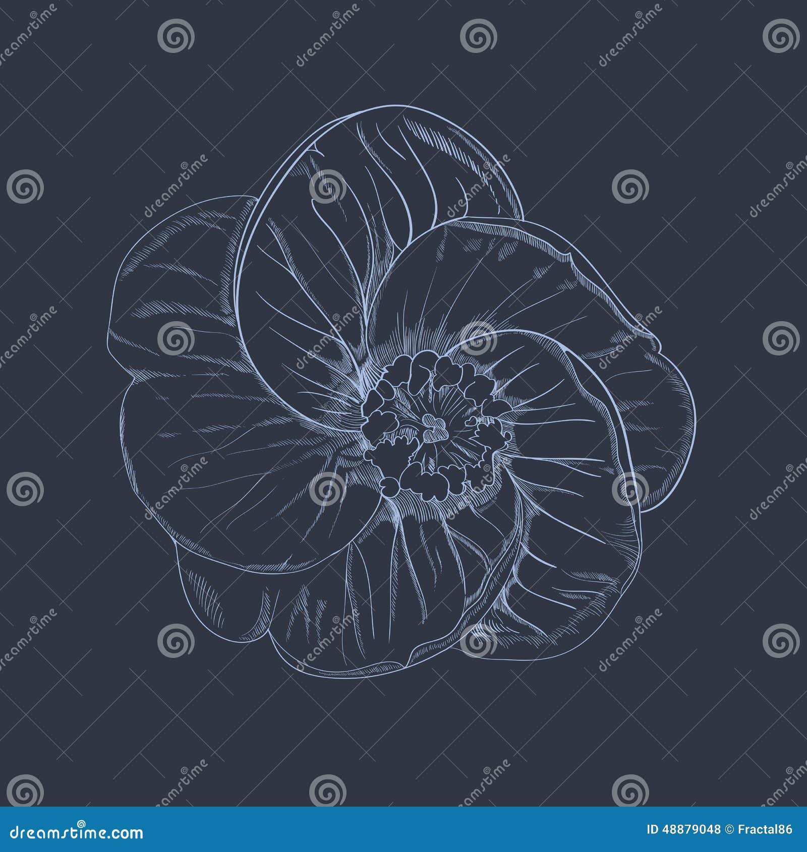 Vector hand-drawing flower stock vector. Illustration of cover - 48879048