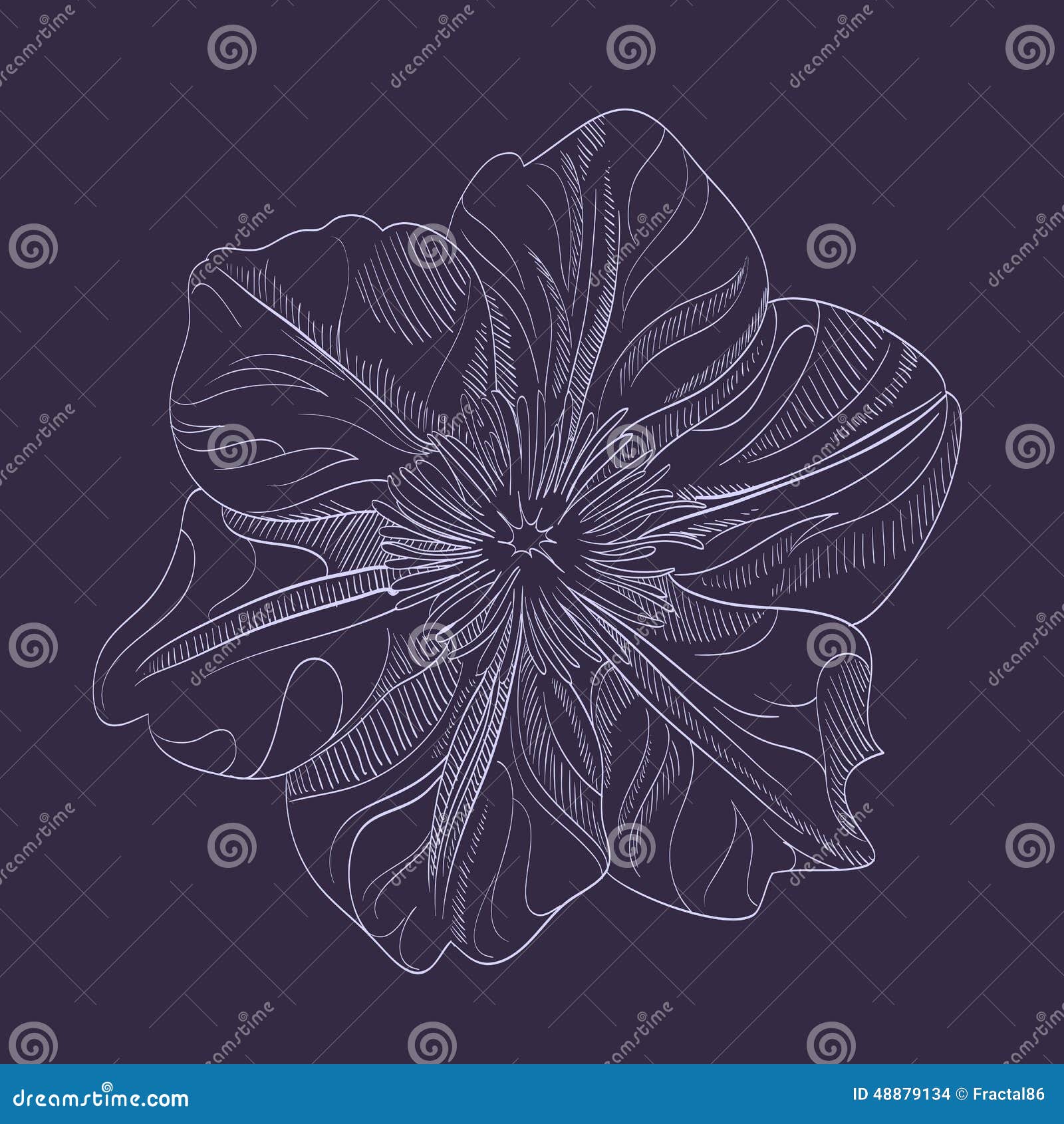 Vector hand-drawing flower stock vector. Illustration of textiles ...