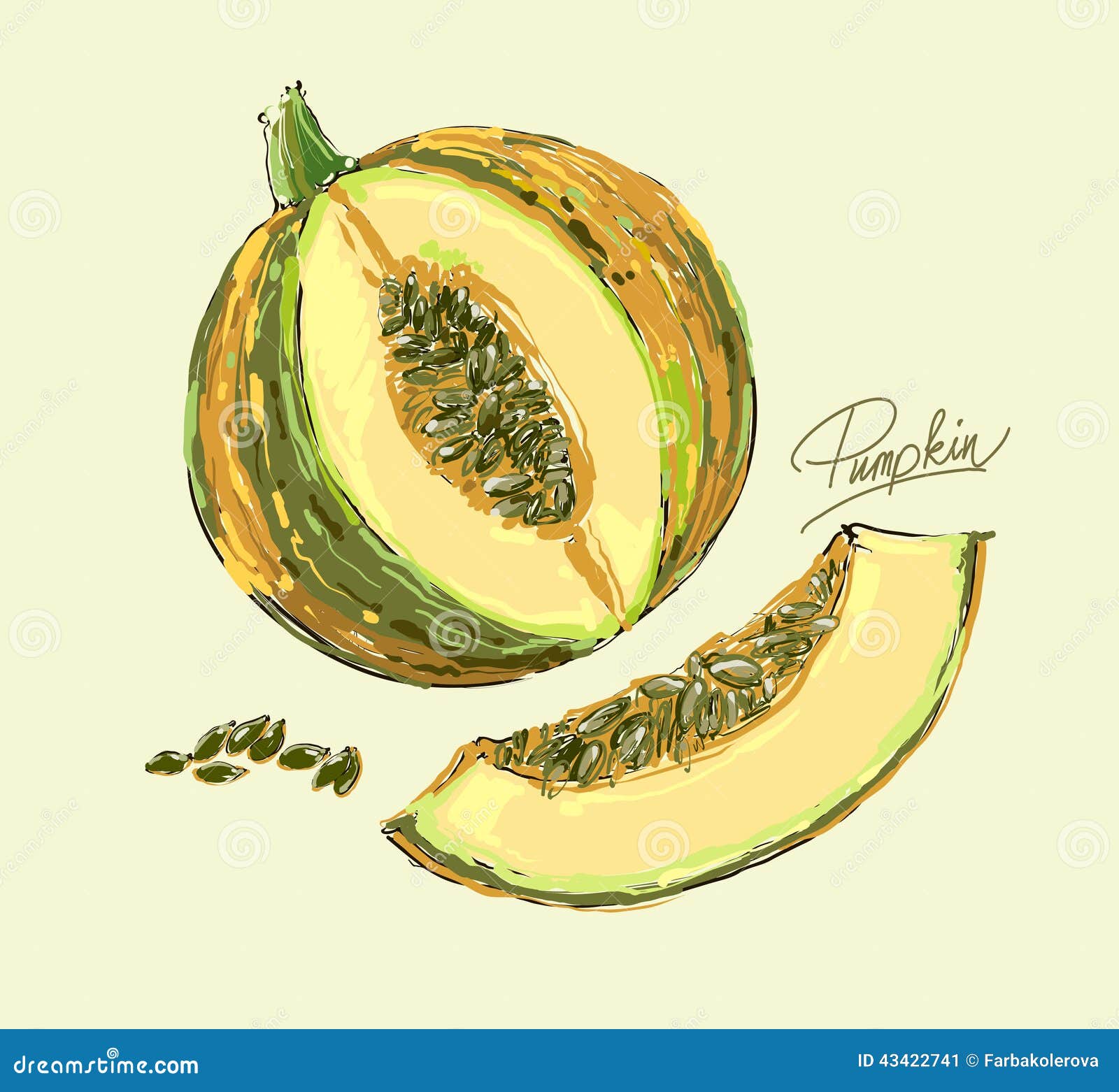 Vector Hand Drawing Juicy Melons Royalty-Free Stock Photo ...