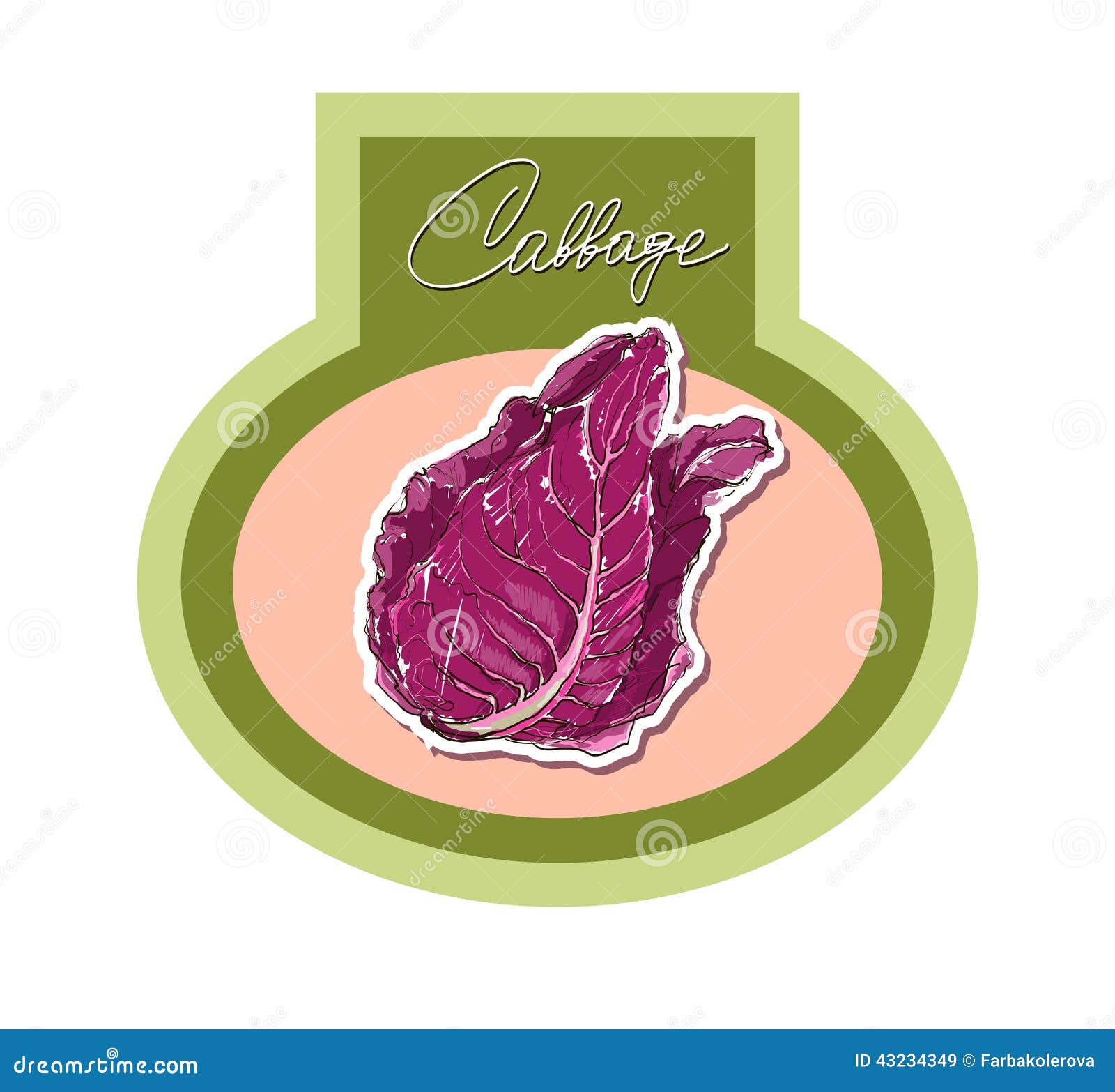 Vector Hand Drawing Red Cabbage Stock Vector - Illustration of ...