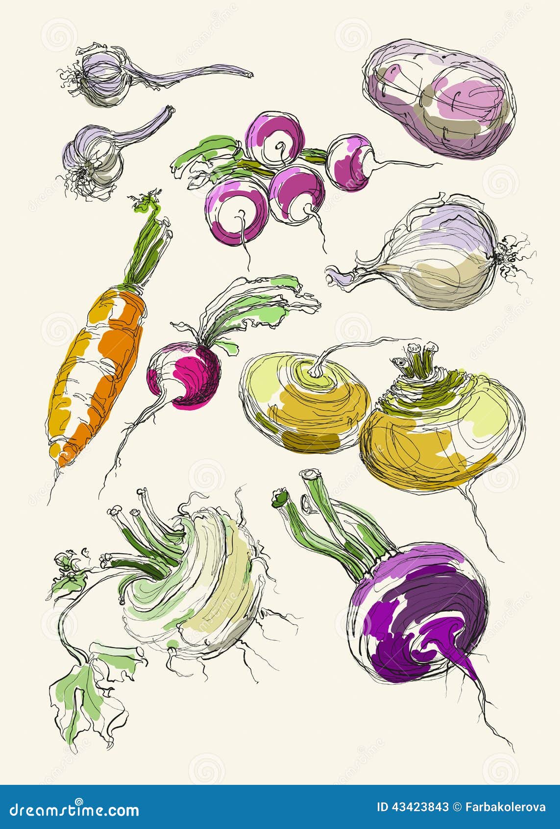 Wildflower Roots Stock Illustrations – 34 Wildflower Roots Stock ...