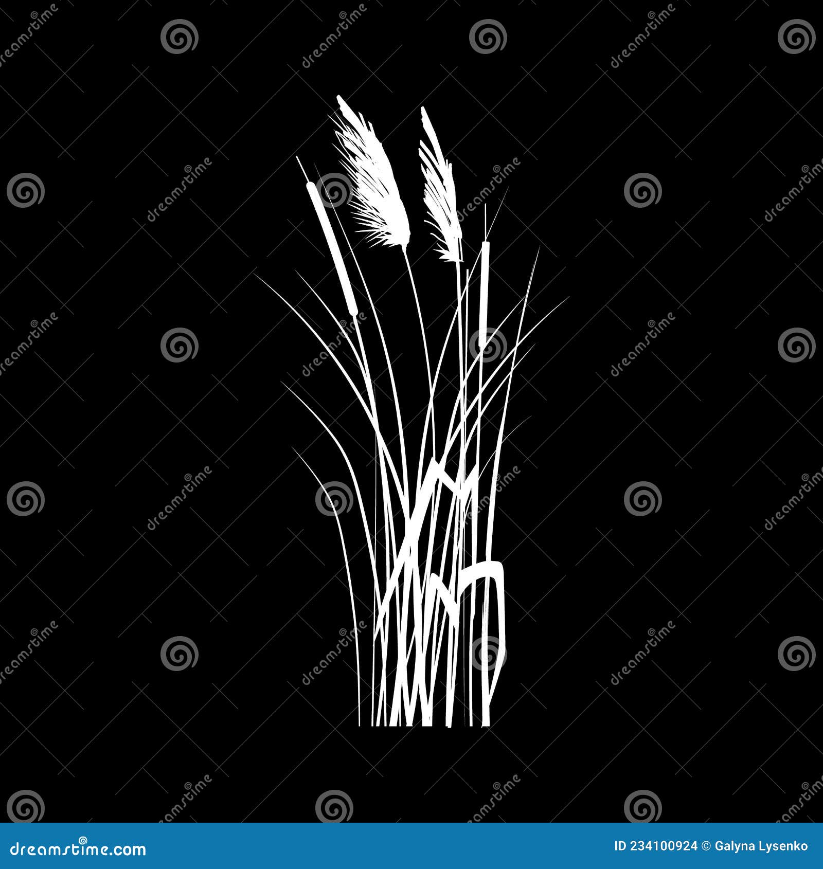 Vector Hand Drawing Sketch with Reeds. Stock Vector - Illustration of ...