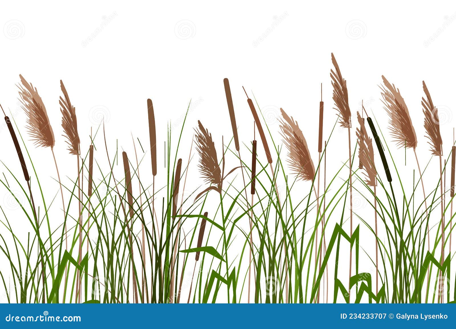 Cane Silhouette On White Background. Vector Hand Drawing Sketch With ...