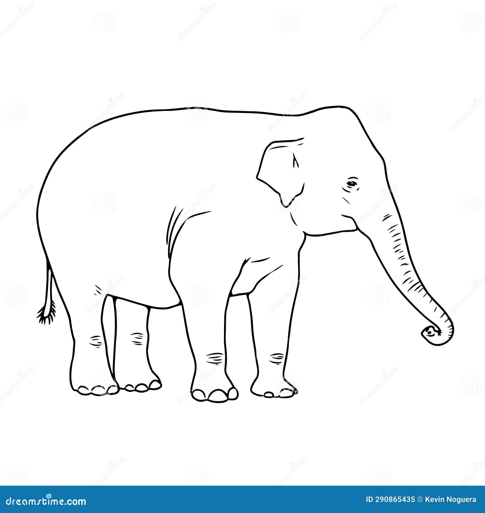Vector Hand Drawn Asian Elephant Outline Illustration Stock ...