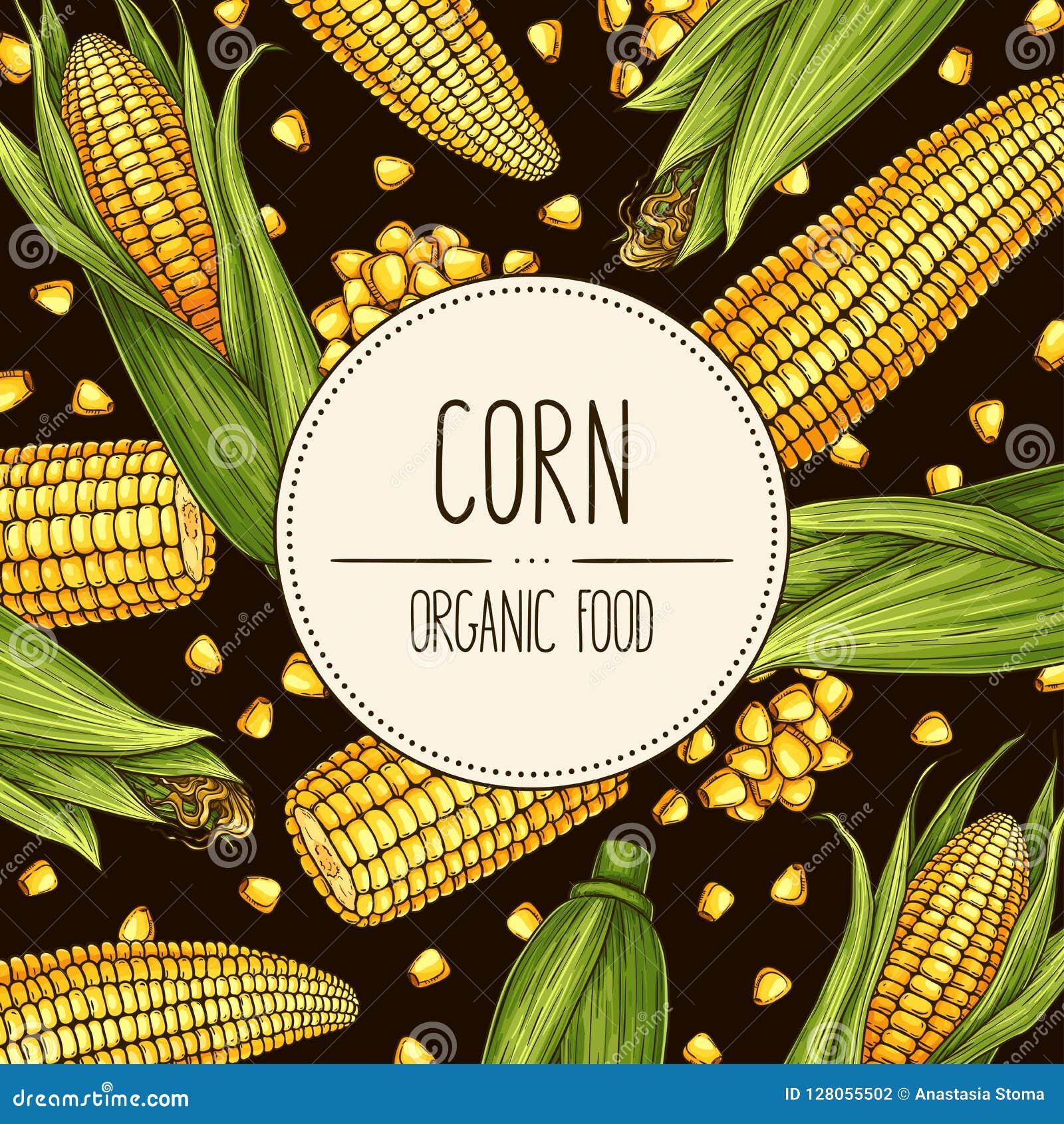 Vector Hand-drawn Banner with Ripe Corn Cobs Stock Vector ...