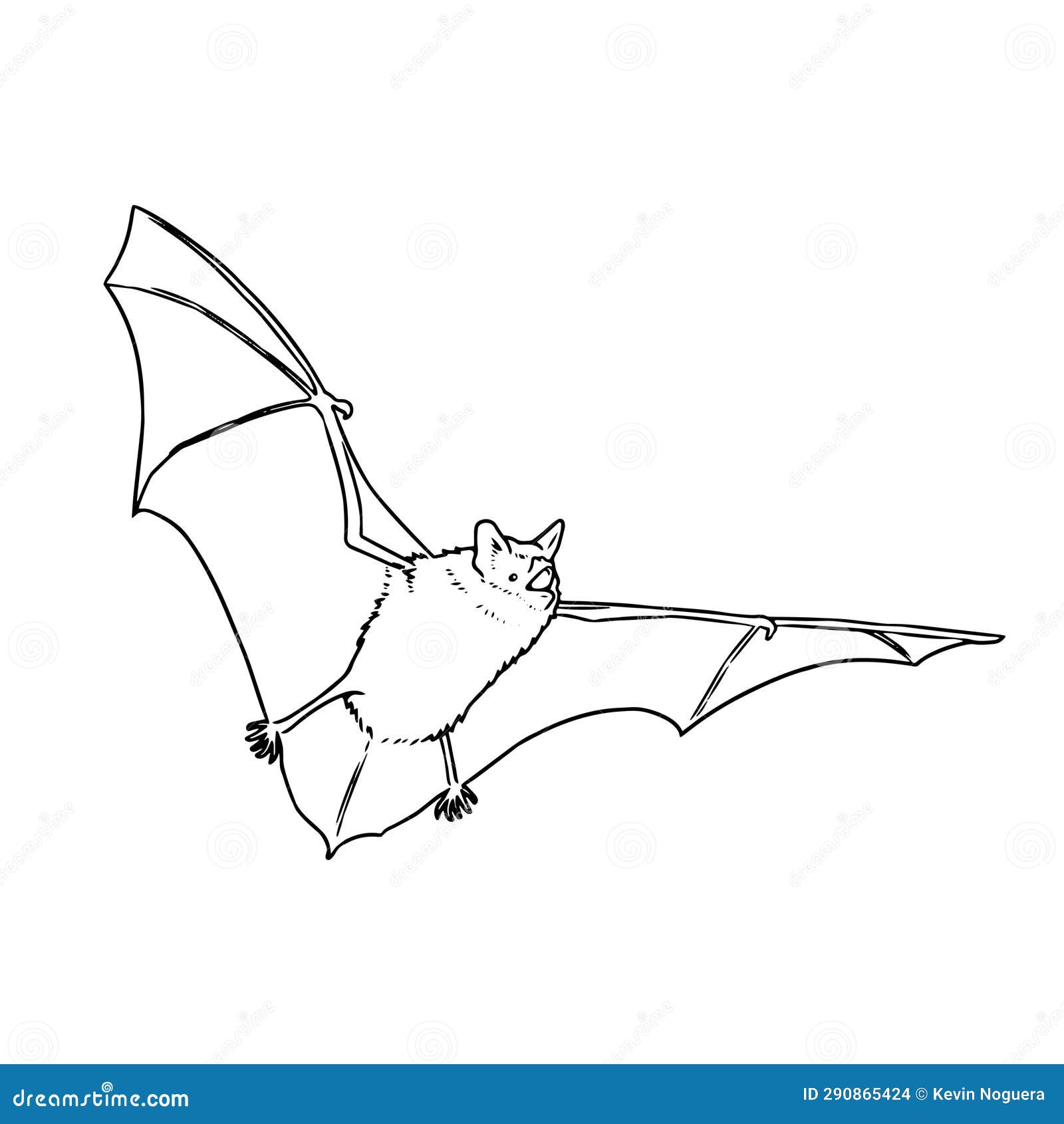 Vector Hand Drawn Bat Flying Outline Illustration Stock Vector ...