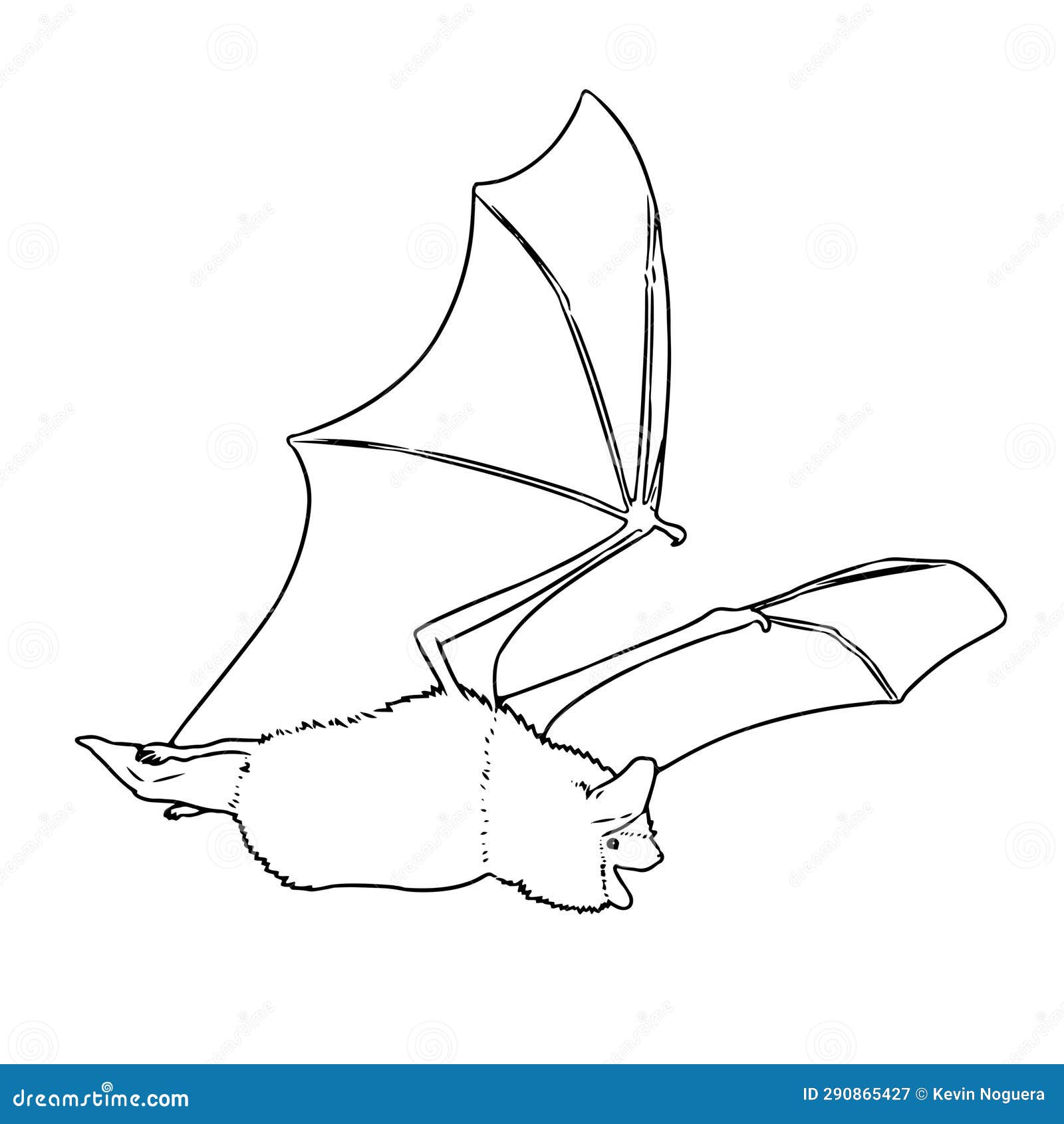Vector Hand Drawn Bat Flying Outline Illustration Stock Vector ...