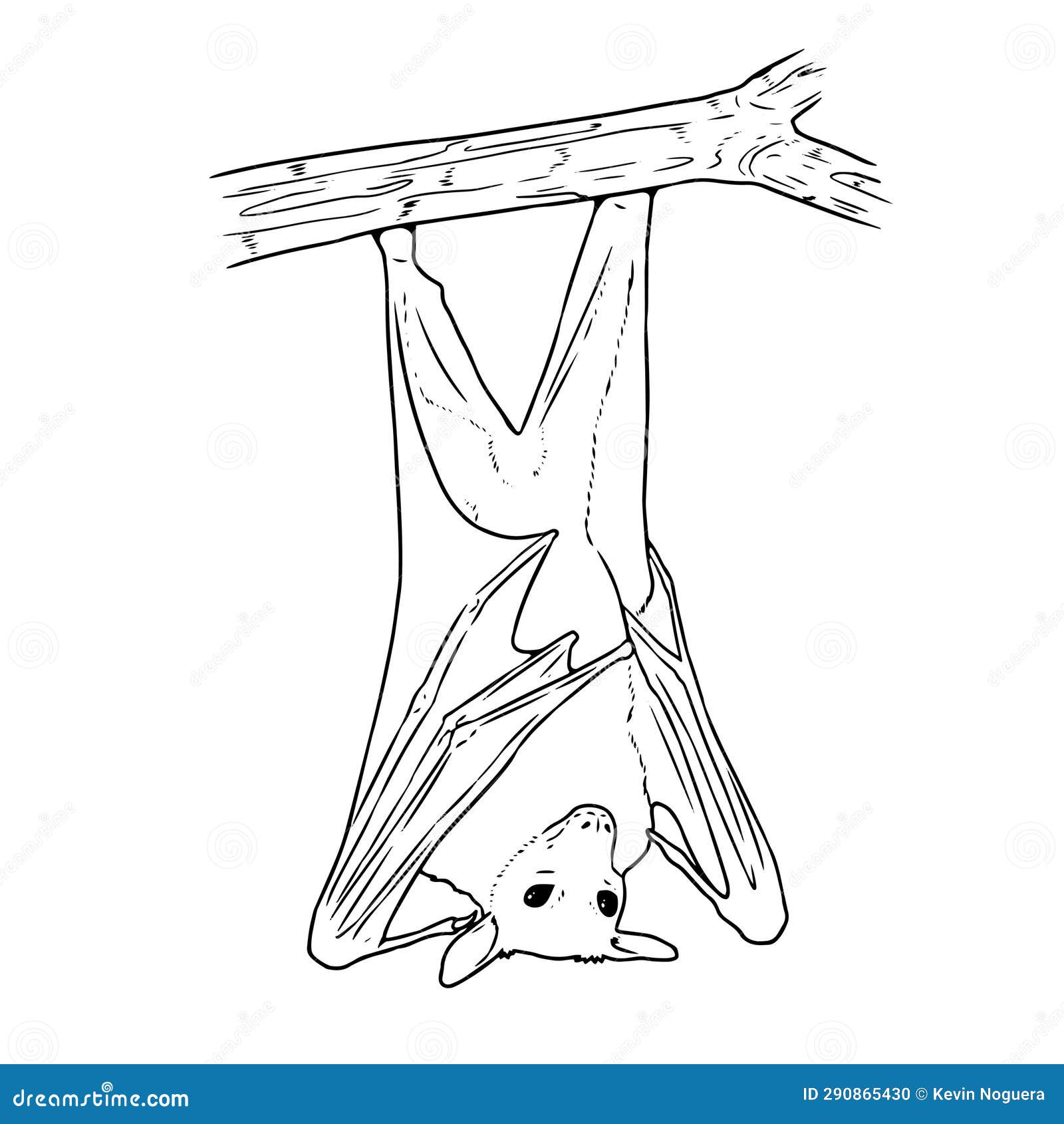 Vector Hand Drawn Bat Head Outline Illustration Stock Illustration ...