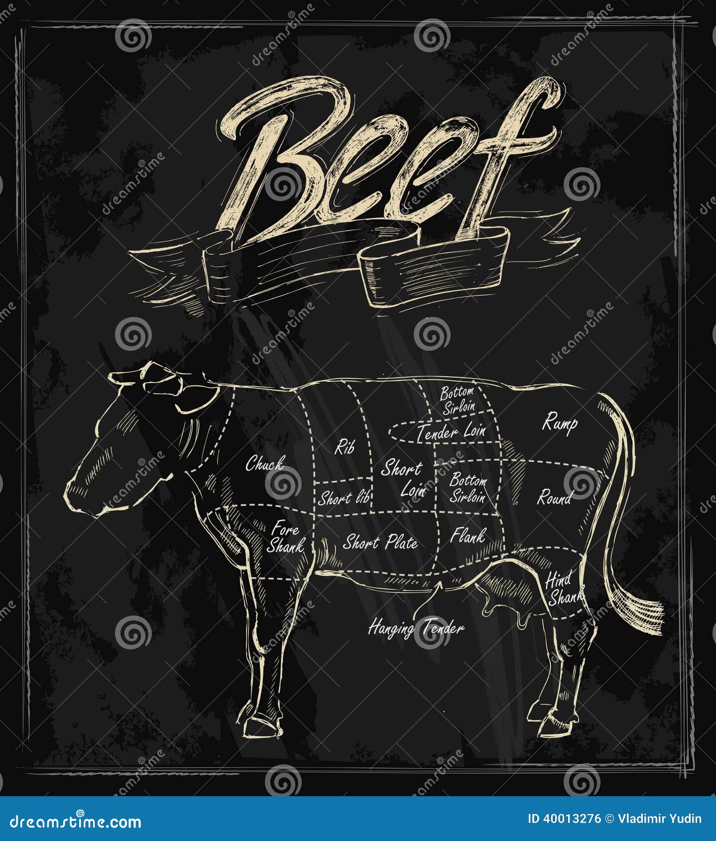 Vector hand drawn beef stock vector. Illustration of decoration - 40013276