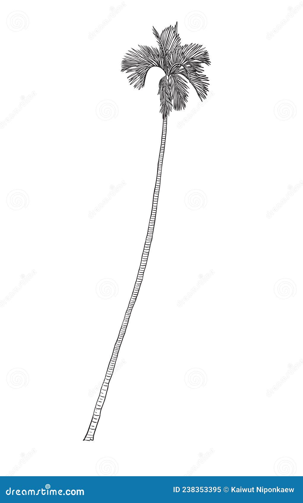 Vector Set Of Betel Leaves And Areca Nut Clipart Vietnamese Wedding ...