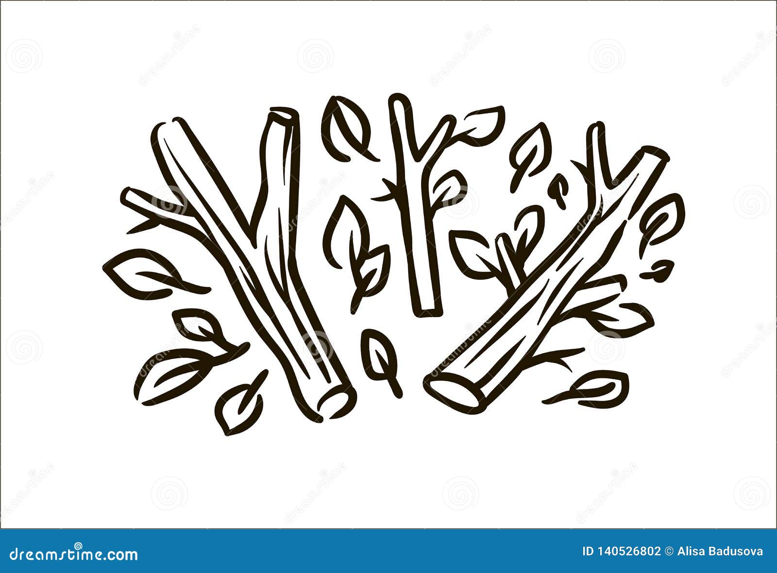 Vector Hand Drawn Branch Simple Sketch Illustration on White Background ...
