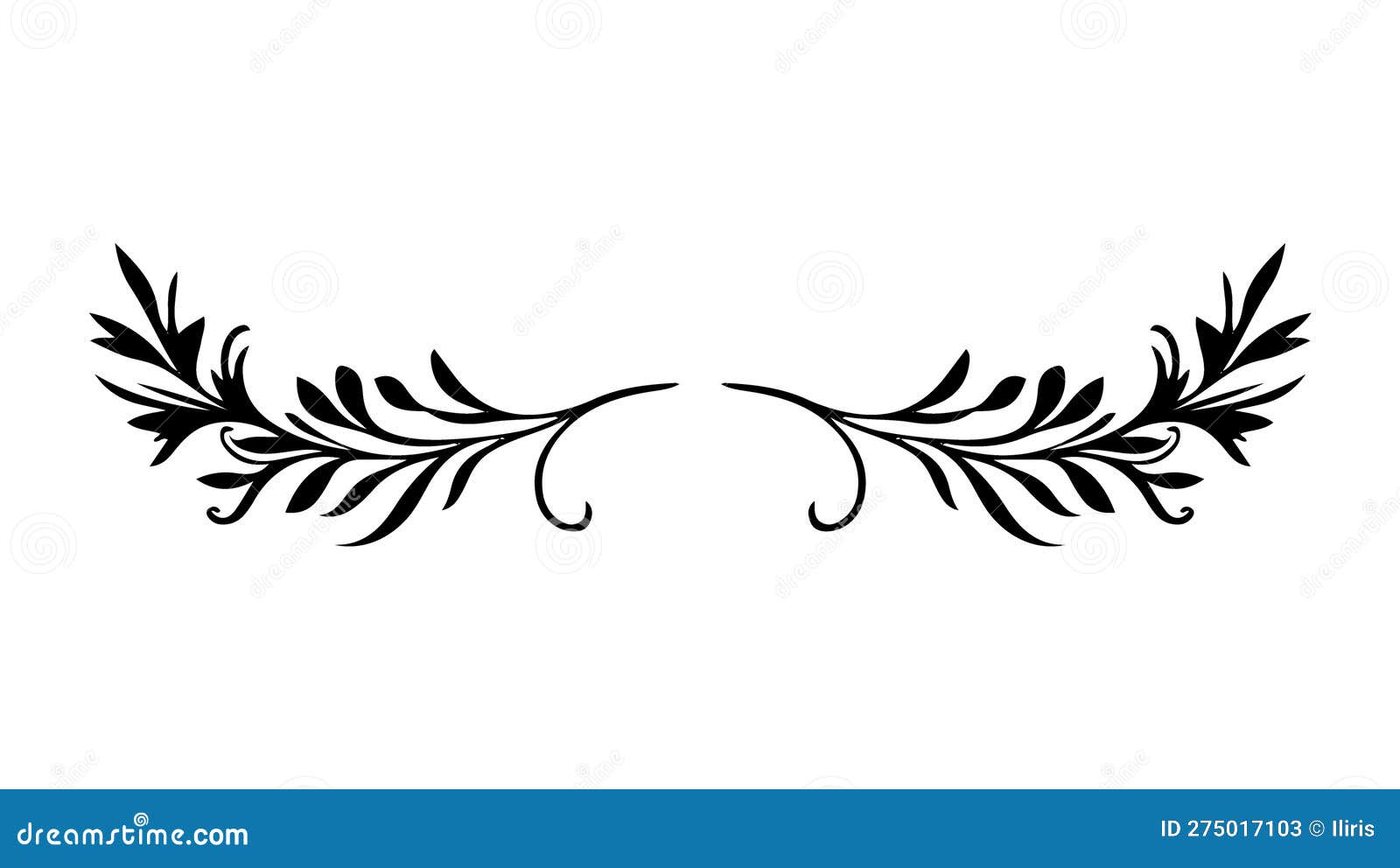 Vector Hand Drawn Calligraphic Divider. Flourishes Set. Decorative ... Vector Hand Drawn Calligraphic Divider. Flourishes Set. Decorative ...