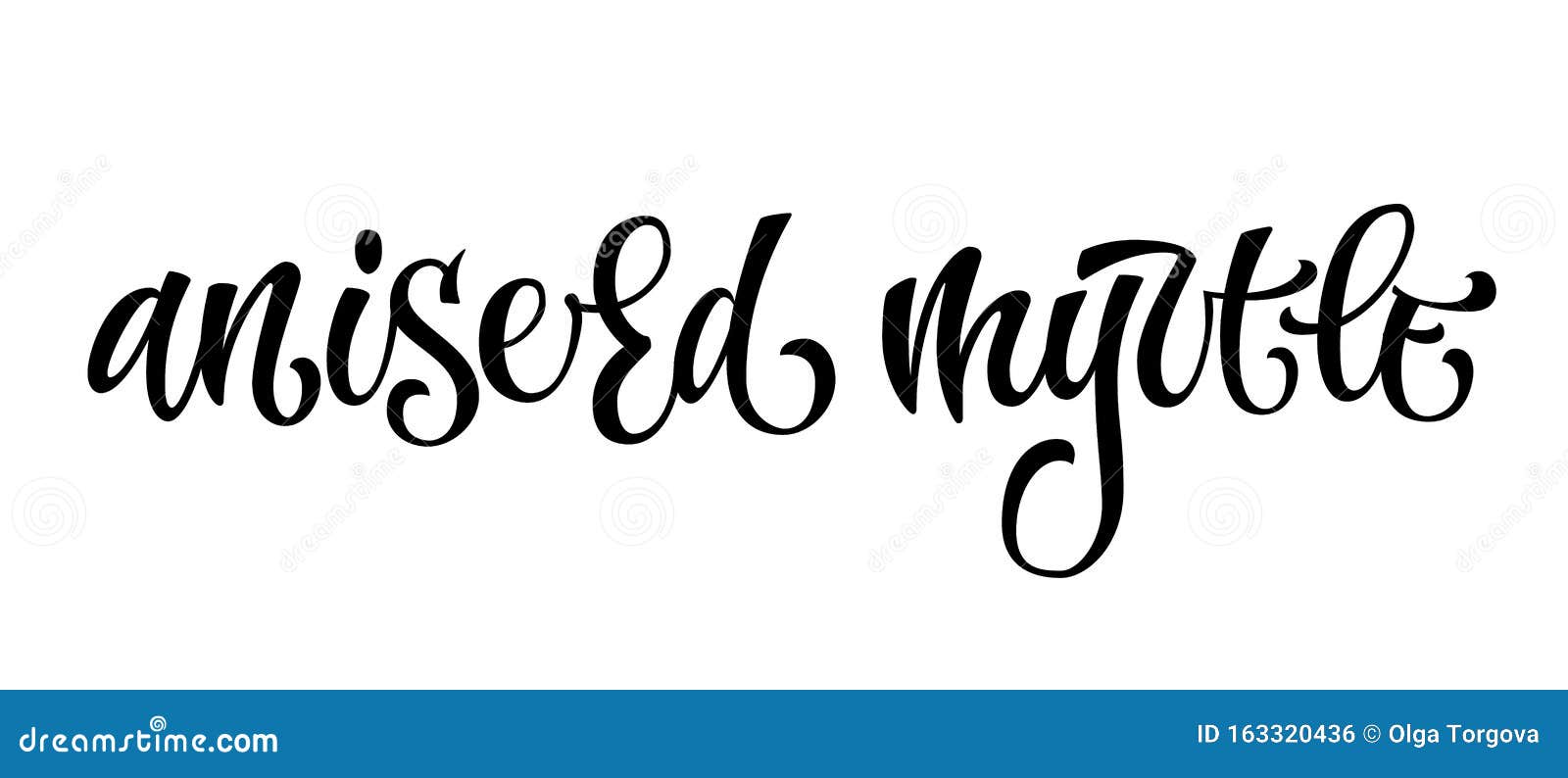 Vector Hand Drawn Calligraphy Style Lettering Word - Aniseed Myrtle ...