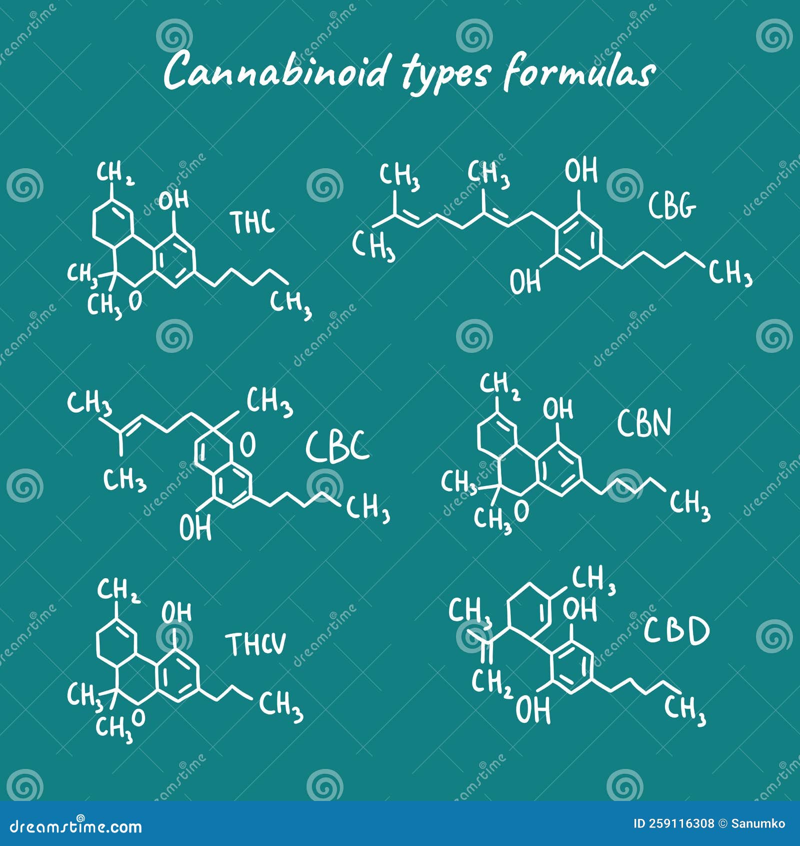 Vector Hand Drawn Cannabinoid Types Formulas Isolated Stock Vector ...