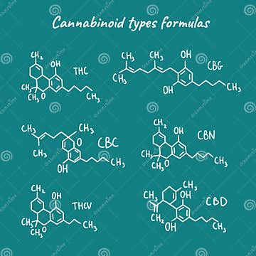 Vector Hand Drawn Cannabinoid Types Formulas Isolated Stock Vector ...