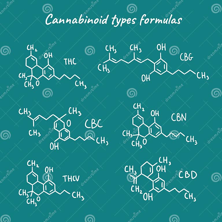 Vector Hand Drawn Cannabinoid Types Formulas Isolated Stock Vector ...