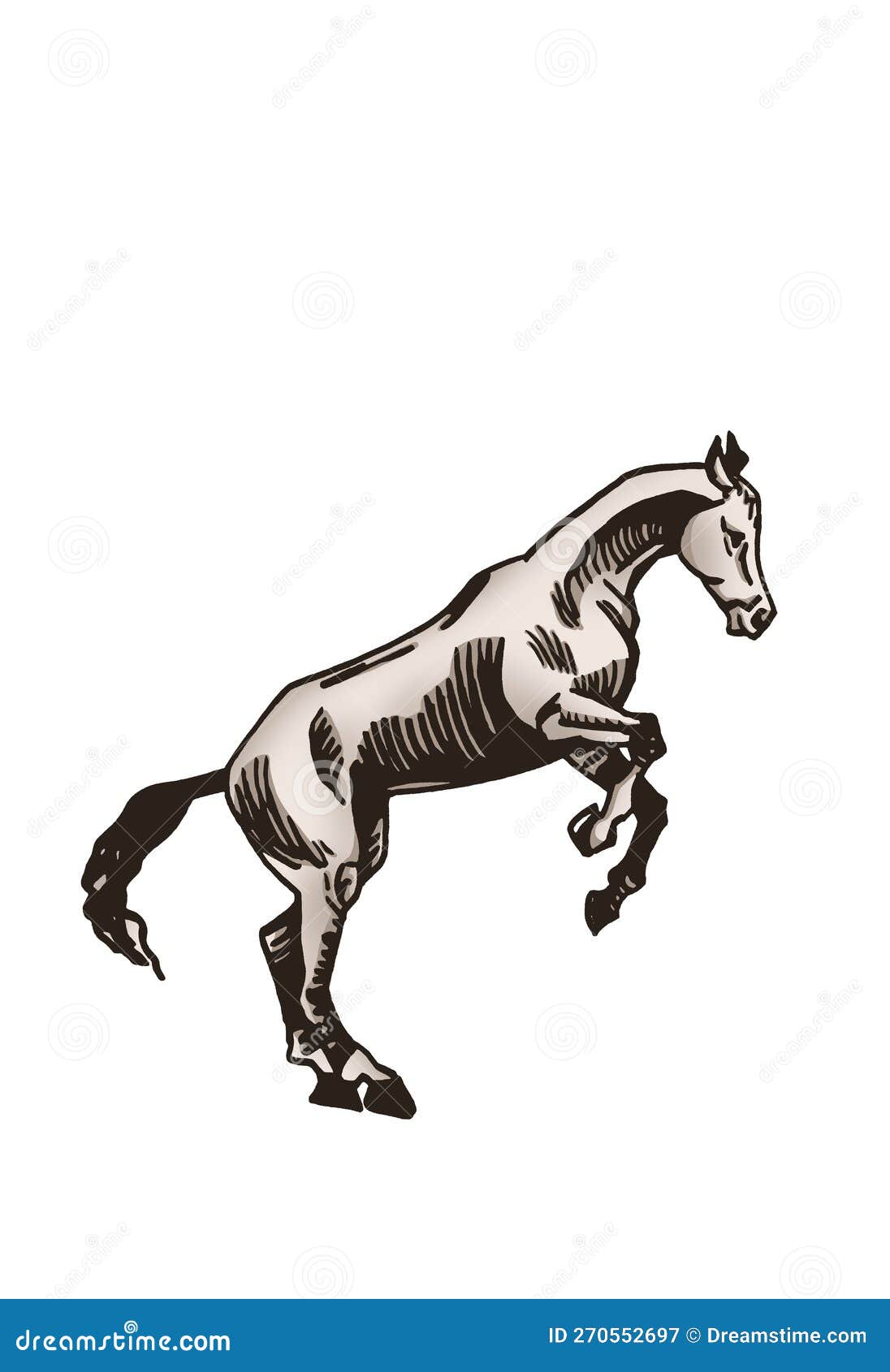 Vector Hand-drawn Color Horse Isolated on White Background,graphical ...